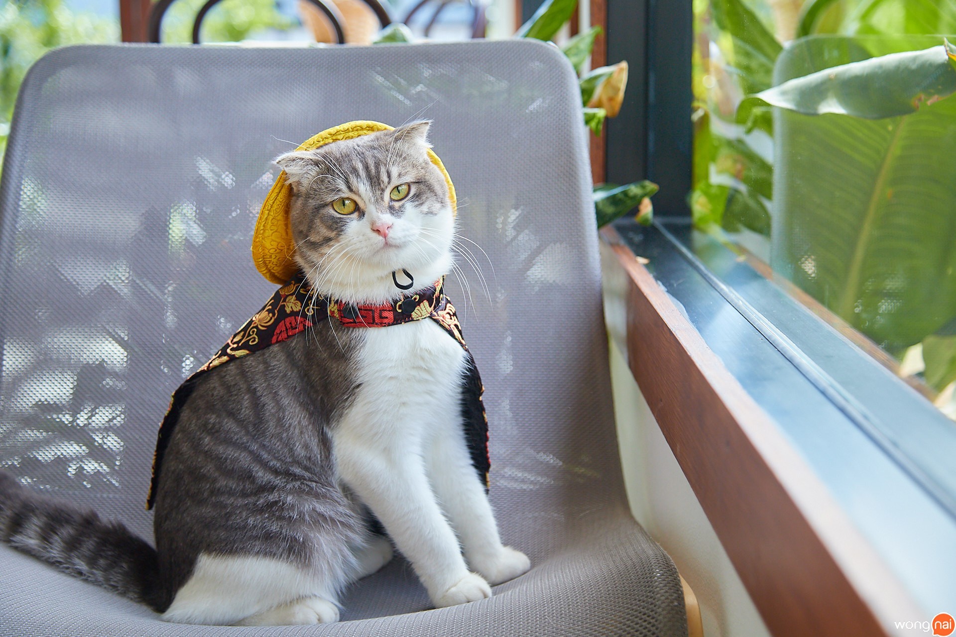 Shiro Cafe คาเฟ่โคราชสุดฮอต กับไอเดียทำคาเฟ่อย่างไรให้โดนใจลูกค้า