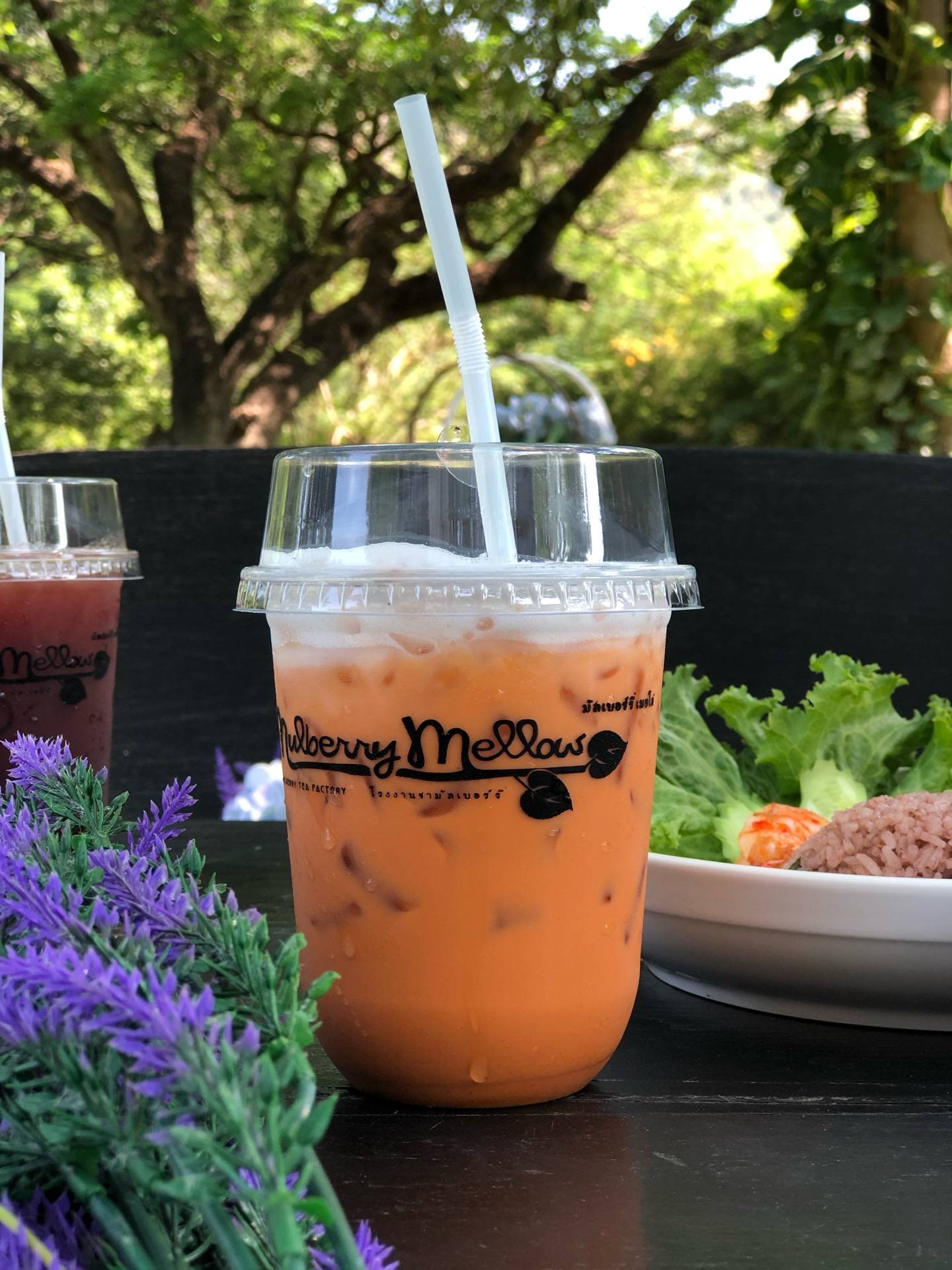 รีวิว Mulberry Mellow แคชเชียร์ร้าน 1 - คาเฟ่เปิดใหม่ท่ามกลางบรรยากาศ ...