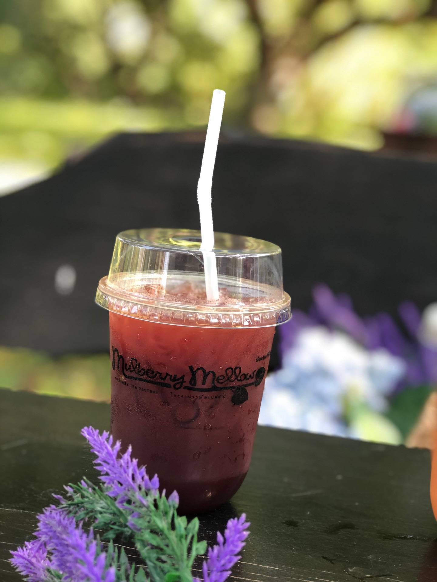 รูป Mulberry Mellow แคชเชียร์ร้าน 1