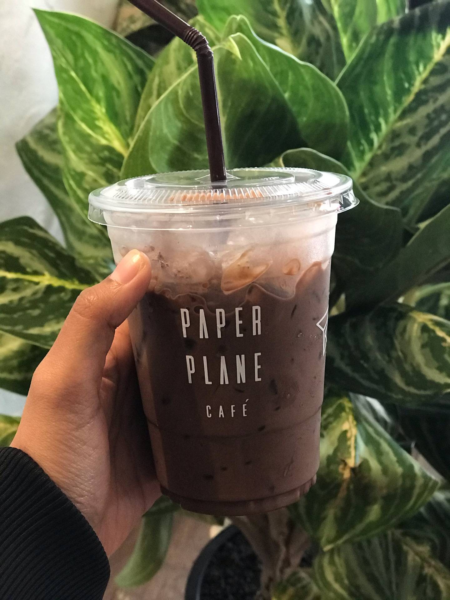 รีวิว Paper plane coffee ชัยนาท - Dmark