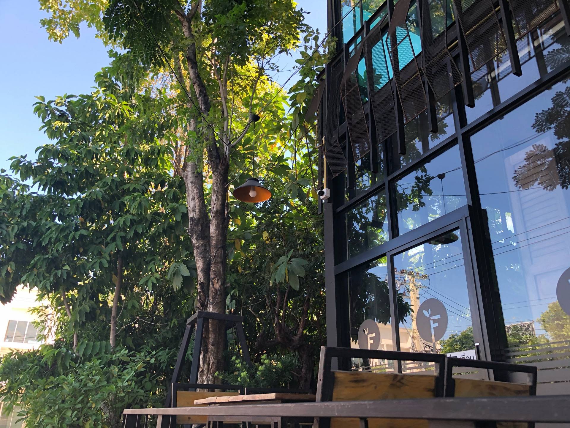 รีวิว FORESTA CAFE ดอนเมือง - อาหารดี บรรยากาศดี - Wongnai