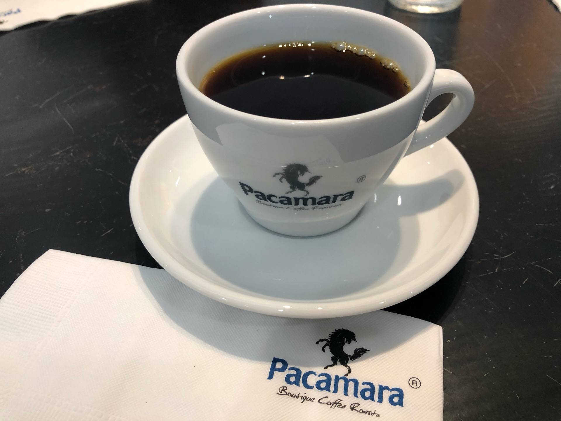 รีวิว Pacamara Coffee Siam MBK A La Art - แวะมาชิมกาแฟดริป