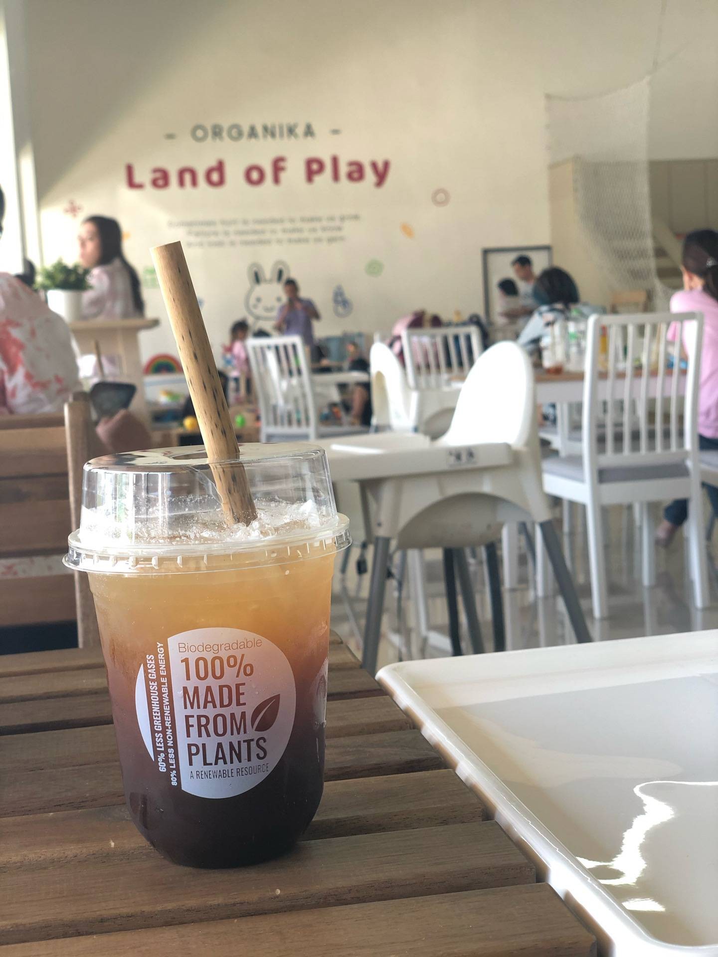 รีวิว Organika Cafe and Play ม้าไม้การ์เด้นท์ - สำหรับลูกๆหลานๆมาสนุก ...