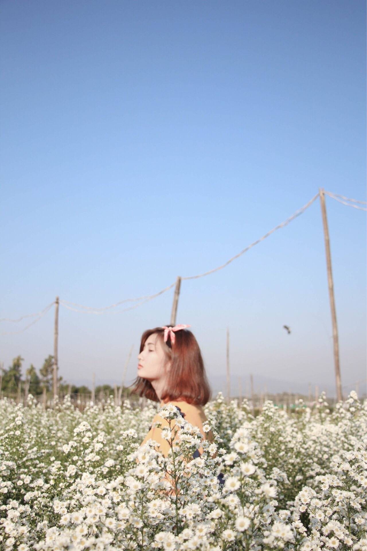 Into the Flower - รีวิวสถานที่ท่องเที่ยว