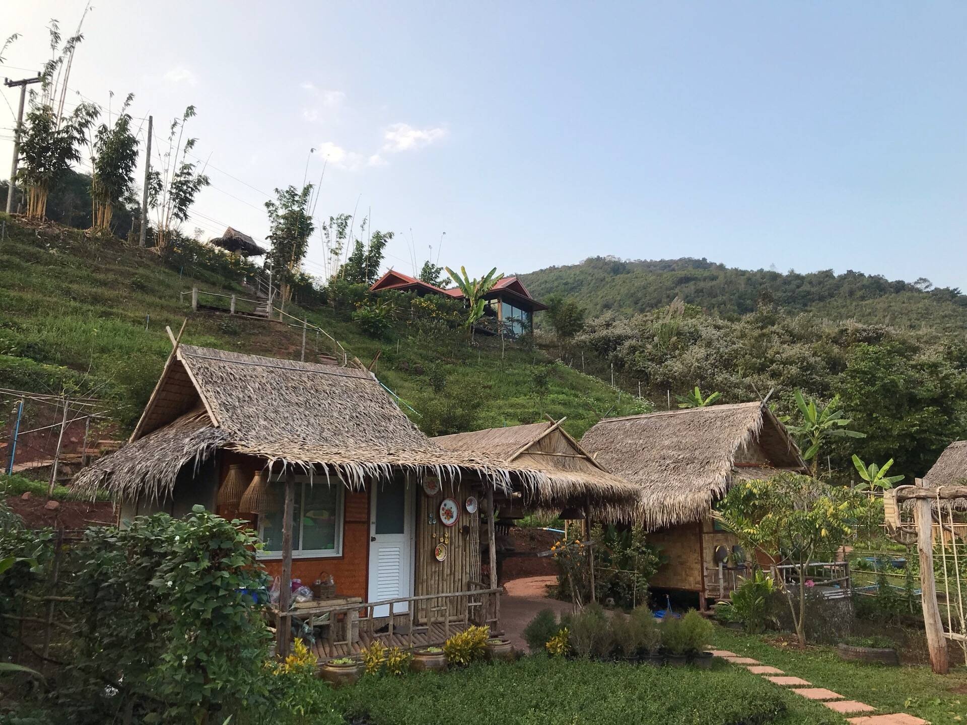 รูป ไทรวารี ฟาร์ม สเตย์ - Wongnai