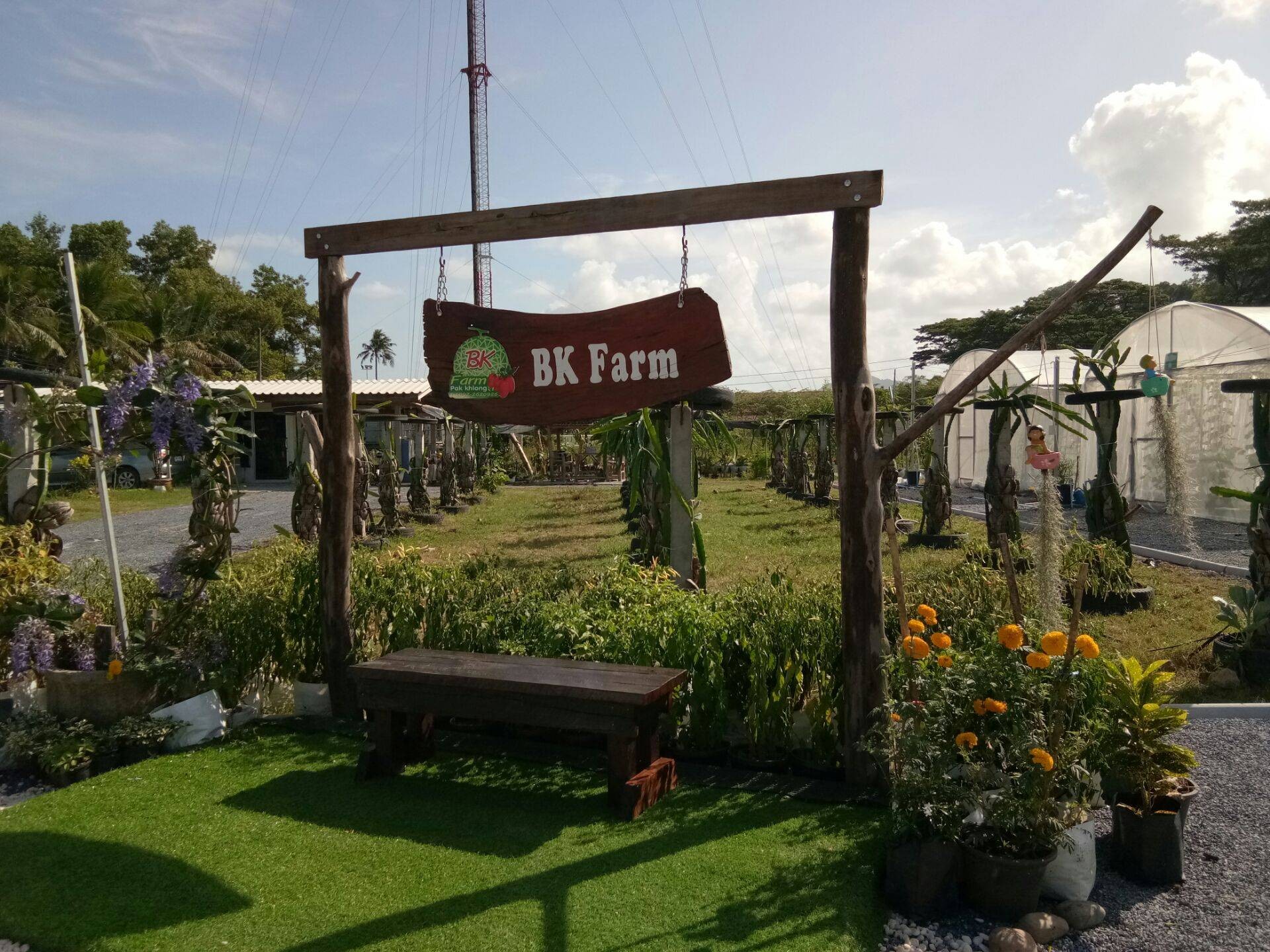 ร้าน Bk Farm | รีวิวร้านอาหาร