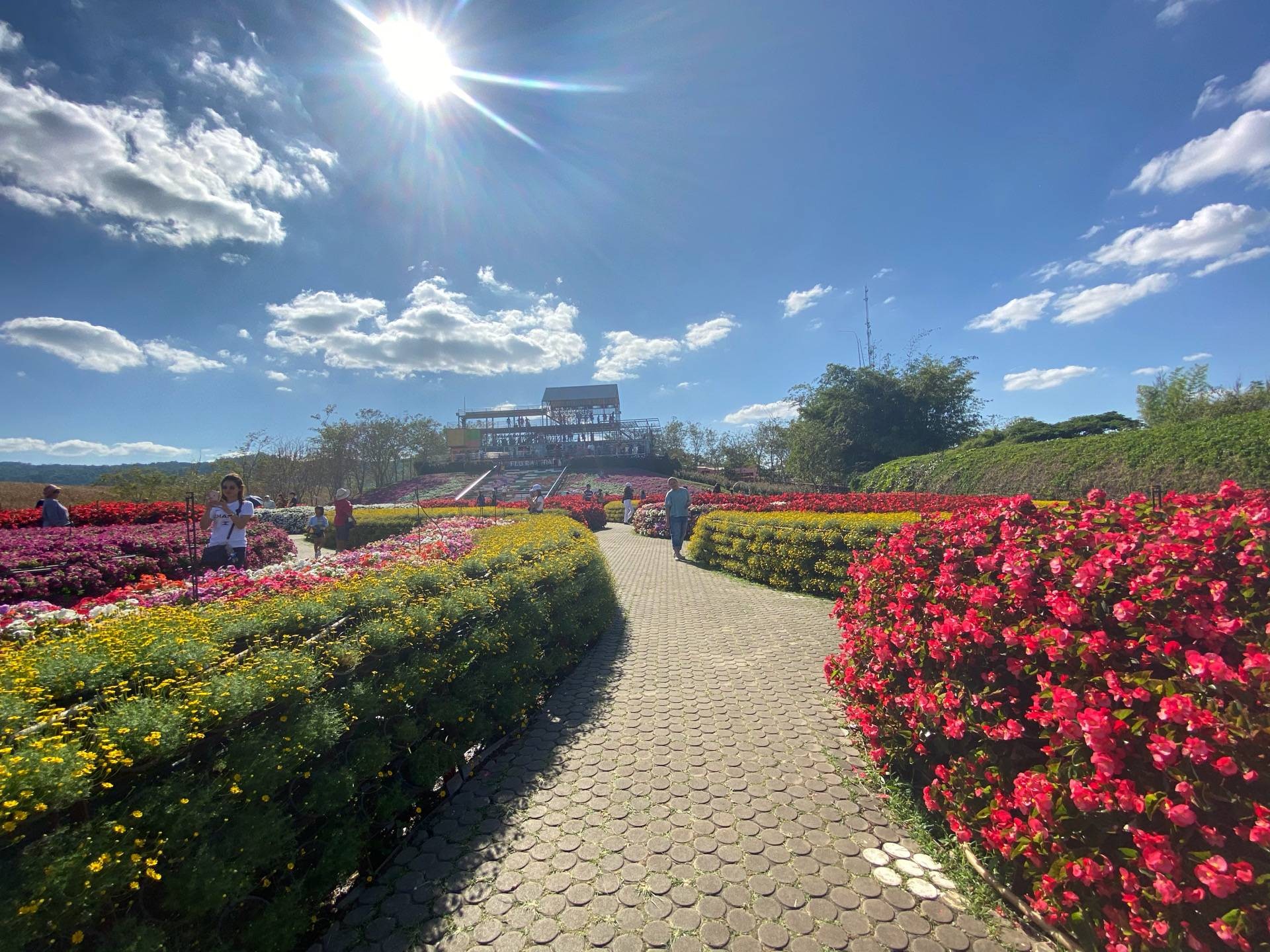 รูป Flora Park