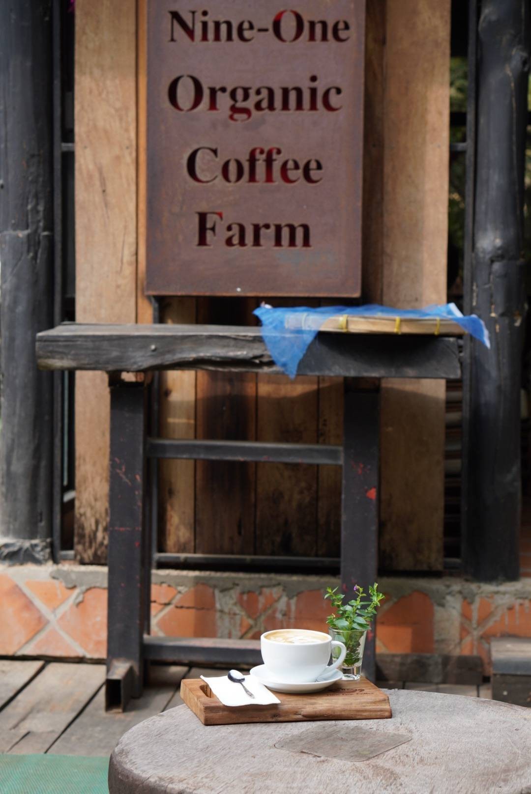 รีวิว Nine One Coffee ริมธาร-บ้านเมี่ยง - คาเฟ่ ที่พัก แหล่งเรียนรู้ ...