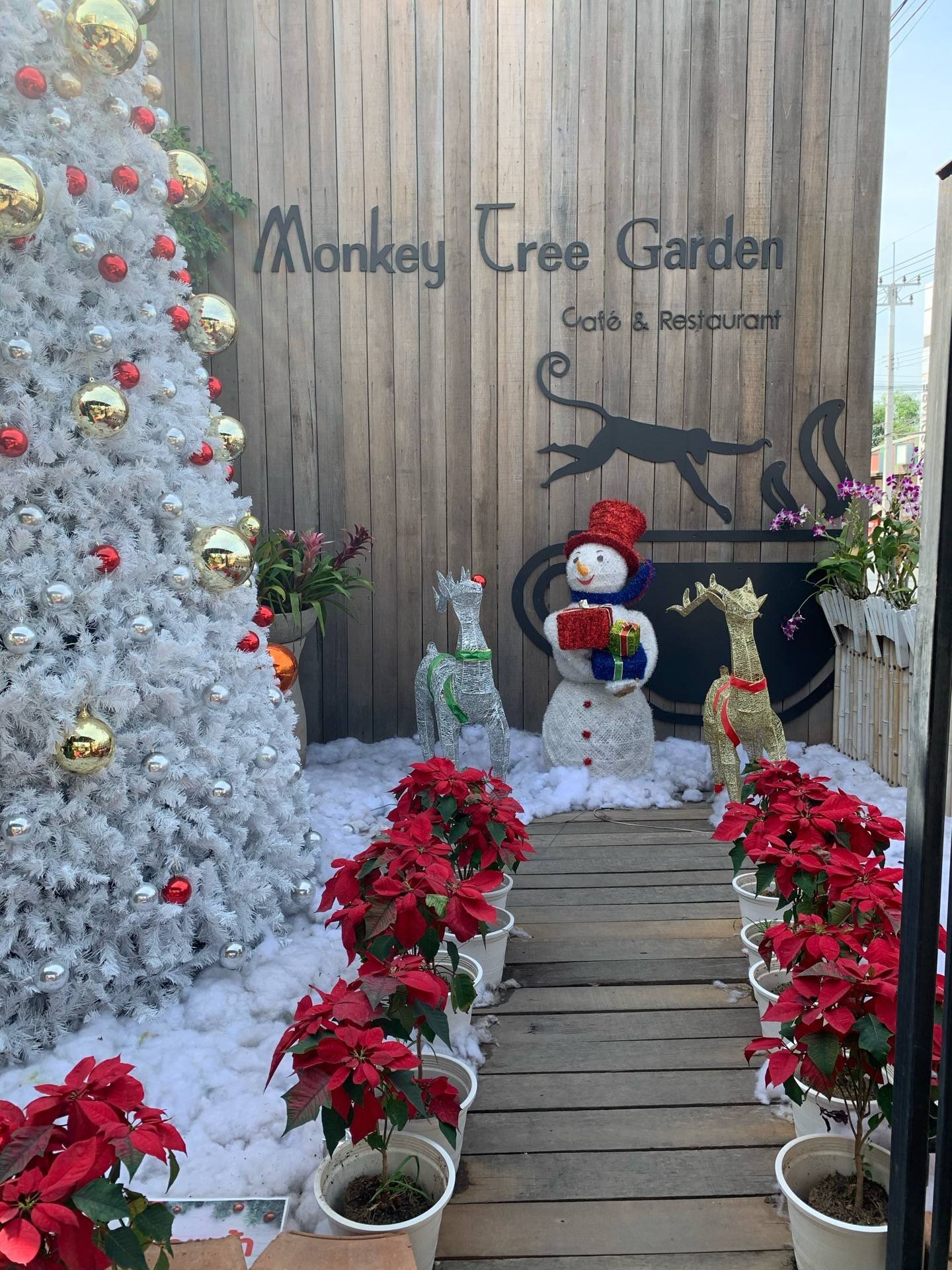 รูป Monkey Tree Garden Monkey Tree Garden