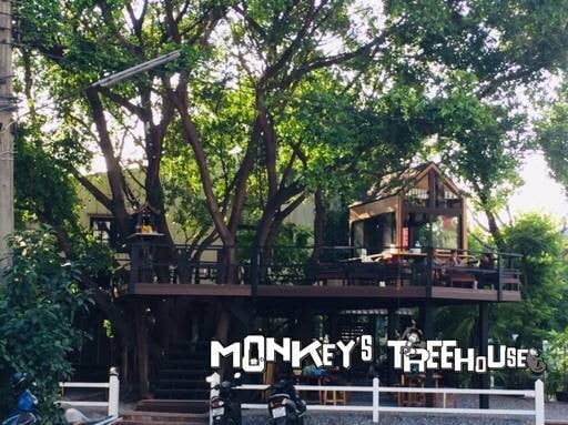 รีวิว Monkey’s Treehouse - อาหารสด อร่อยมาค่ะ