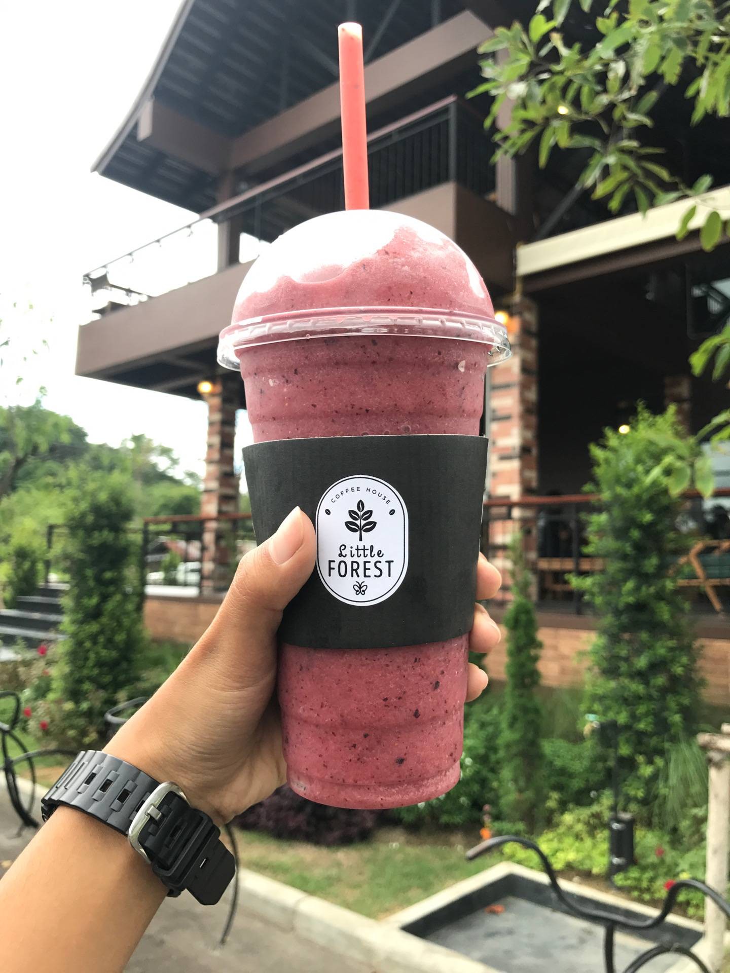 รีวิว Little Forest Coffee House แก่งกระจาน - ร้านกาแฟบรรยากาศ มาแก่ง ...