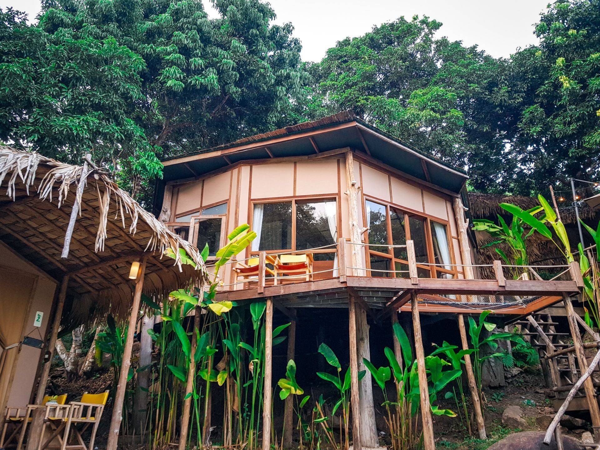 รูป Stay Wild & Cafe