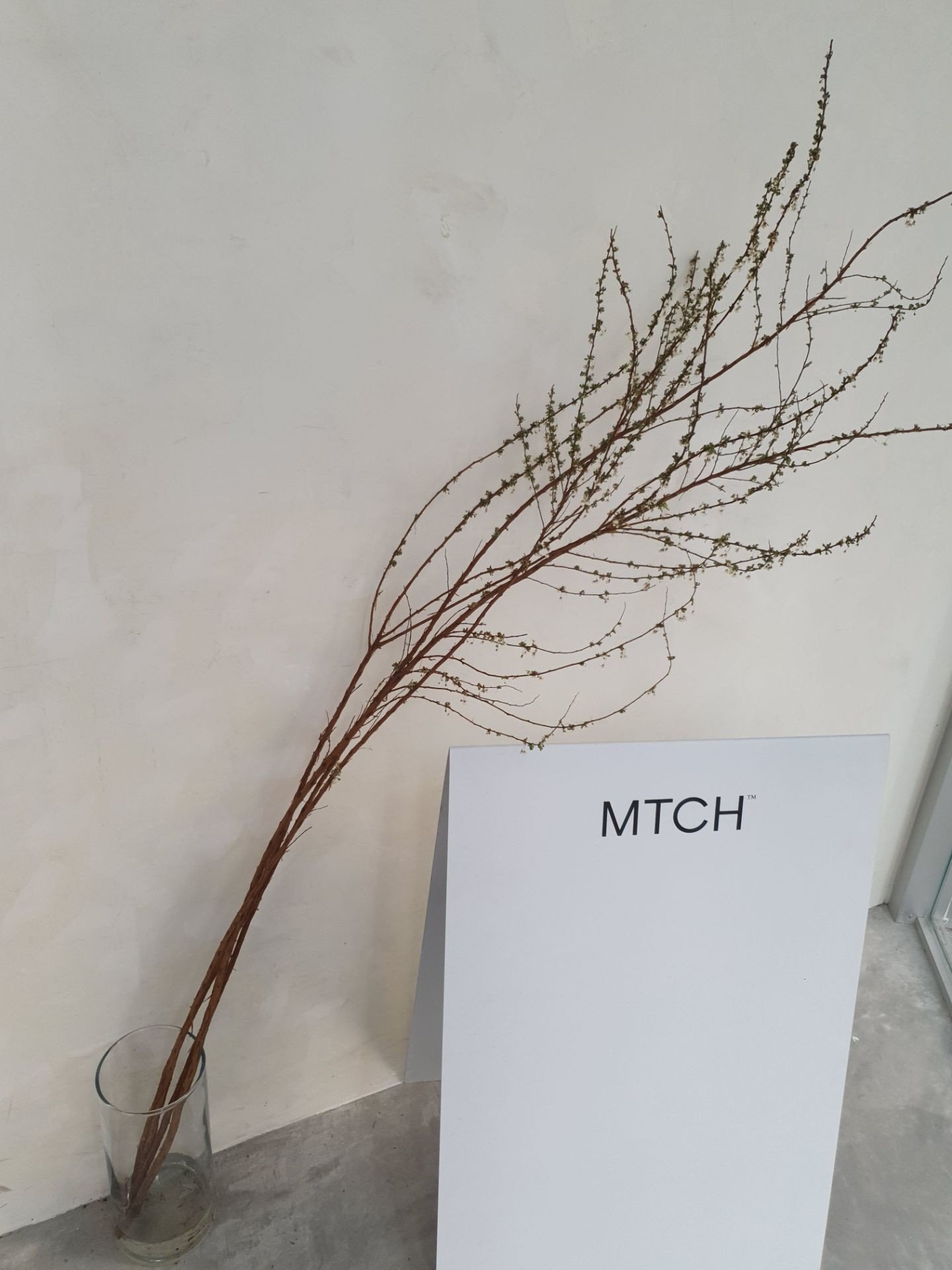 รีวิว MTCH - MTCH Matcha Cafe - Wongnai