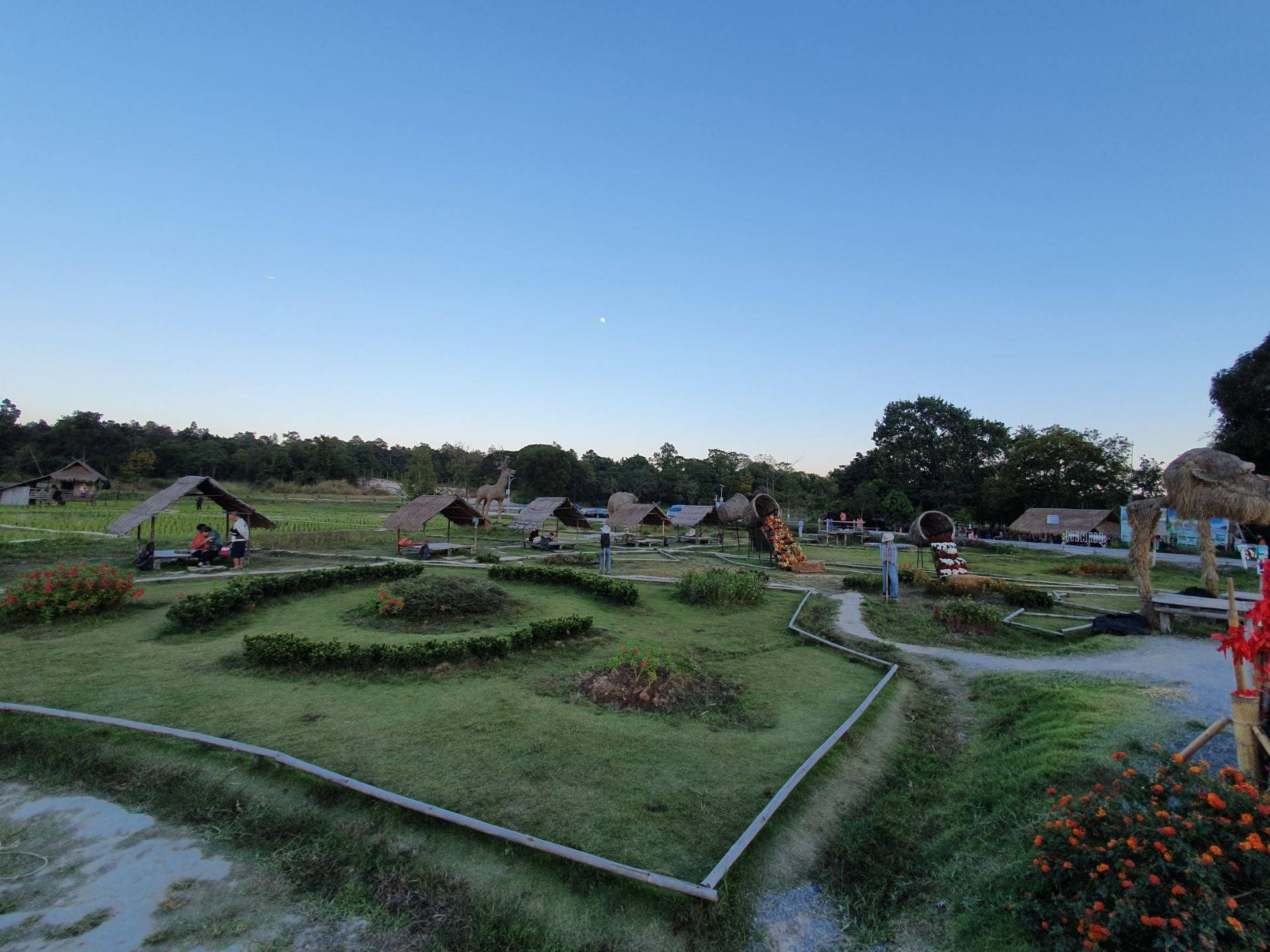 รูป ห้วยตึงเฒ่า (คิงคองยักษ์)