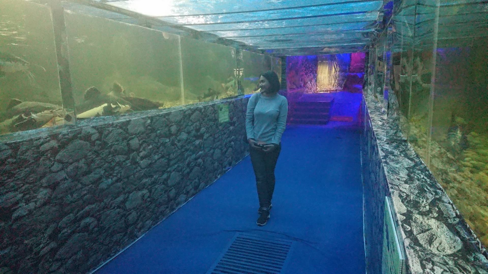 รีวิว Monster Aquarium - คุ้มราคาค่าบัตร