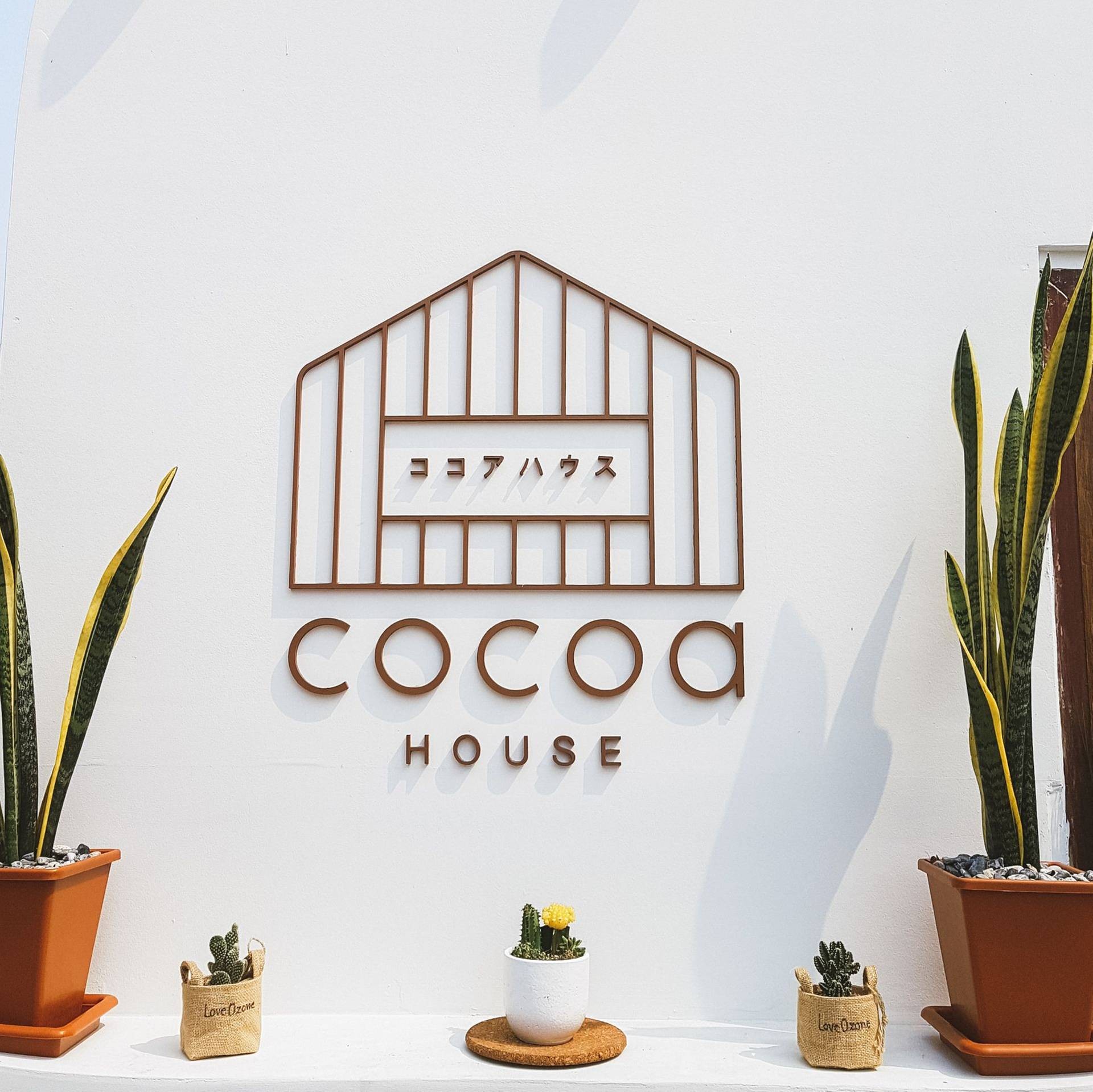 รีวิว Cocoa House ถนนเนตรดี บางแสน - โกโก้หวานน้อย เข้มมาก เพิ่มครีมนม ...
