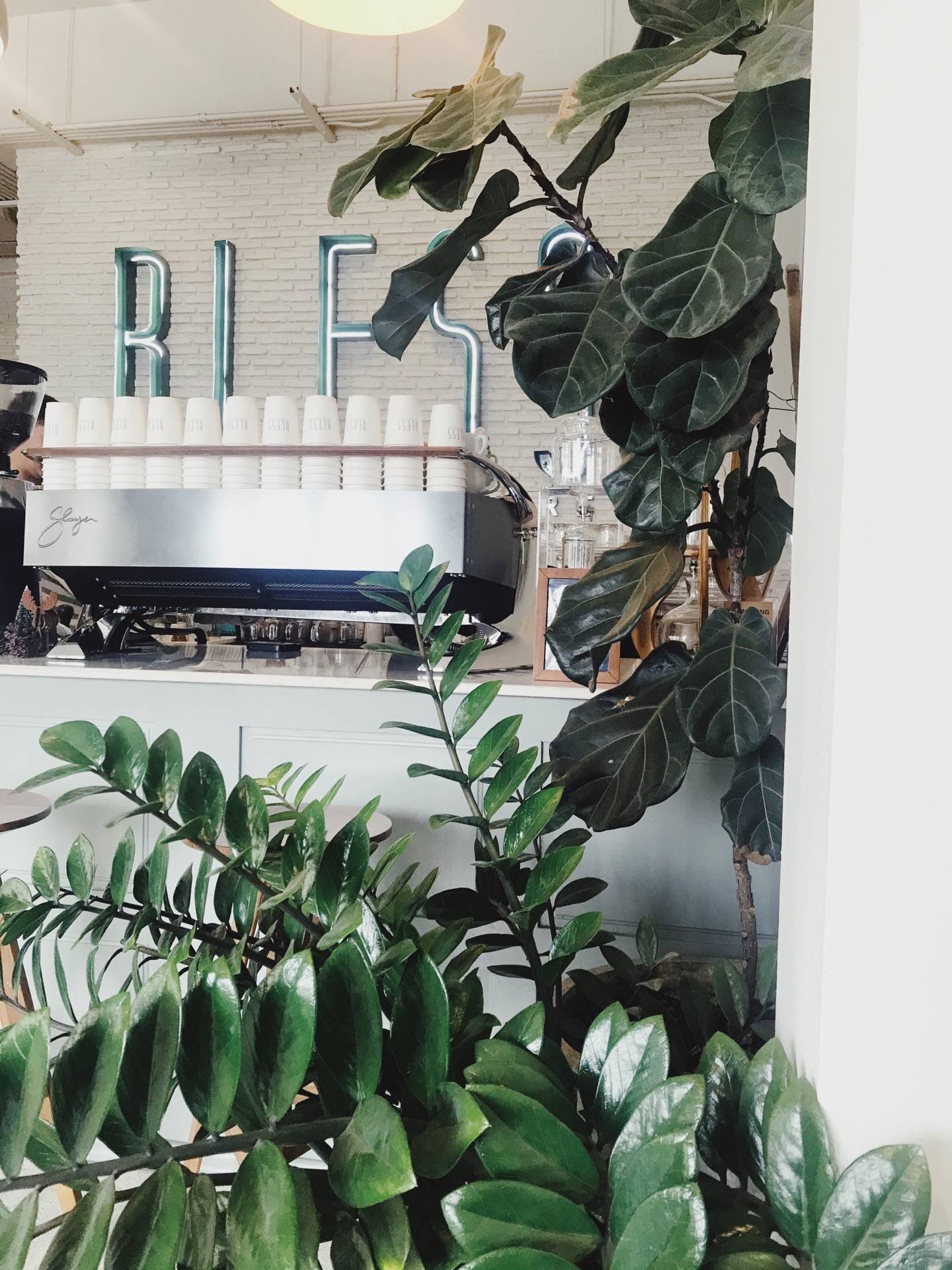 รีวิว Bless Coffee Roaster - Bless coffee