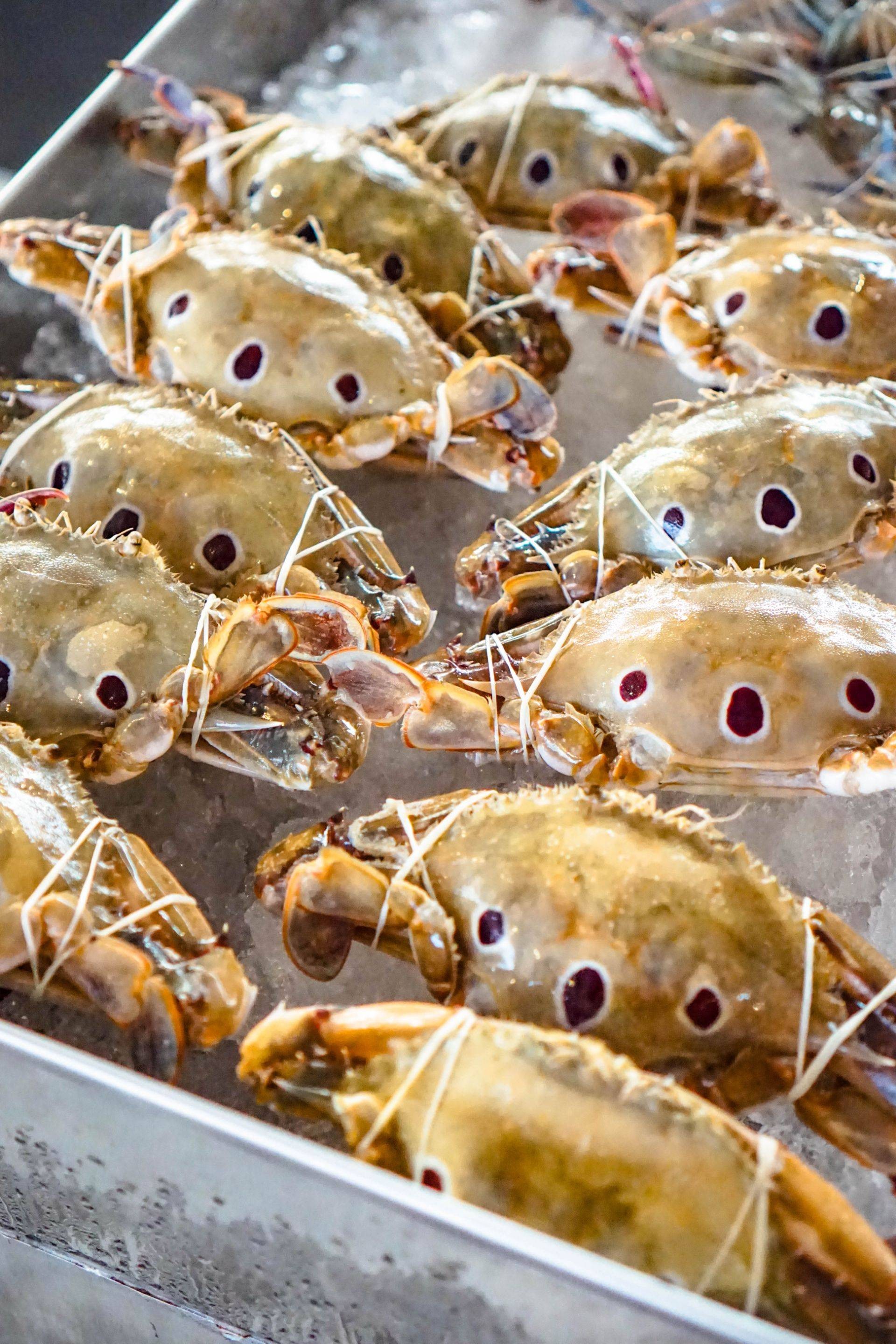 รูป Yuu Buffet สายไหม 14