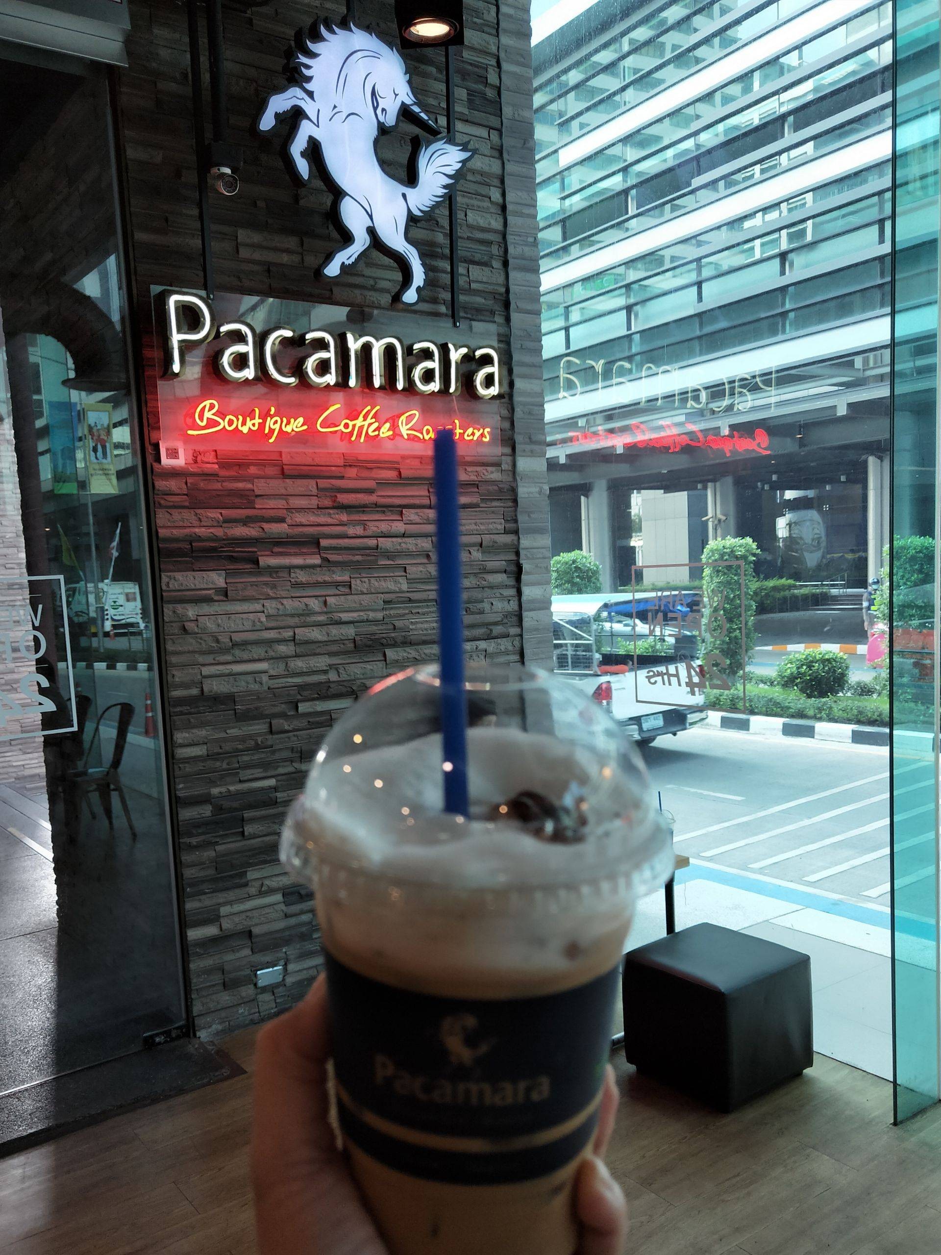 รูป PACAMARA หอสมุดคณะแพทยศาสตร์ จุฬาลงกรณ์มหาวิทยาลัย