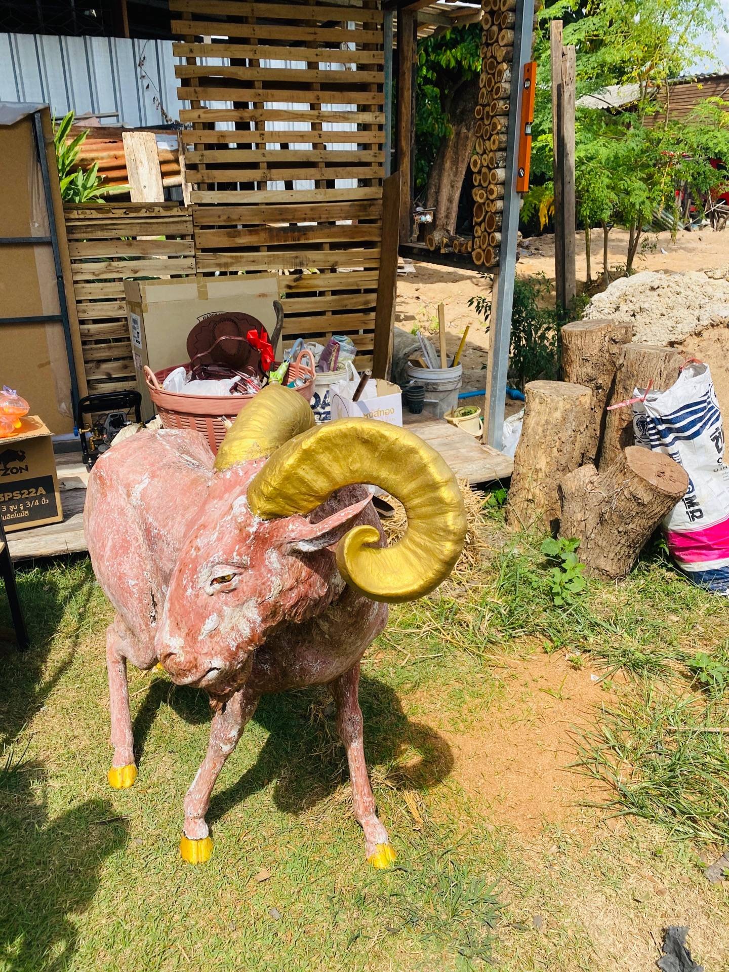 รีวิว Black Goat Farm & Cafe