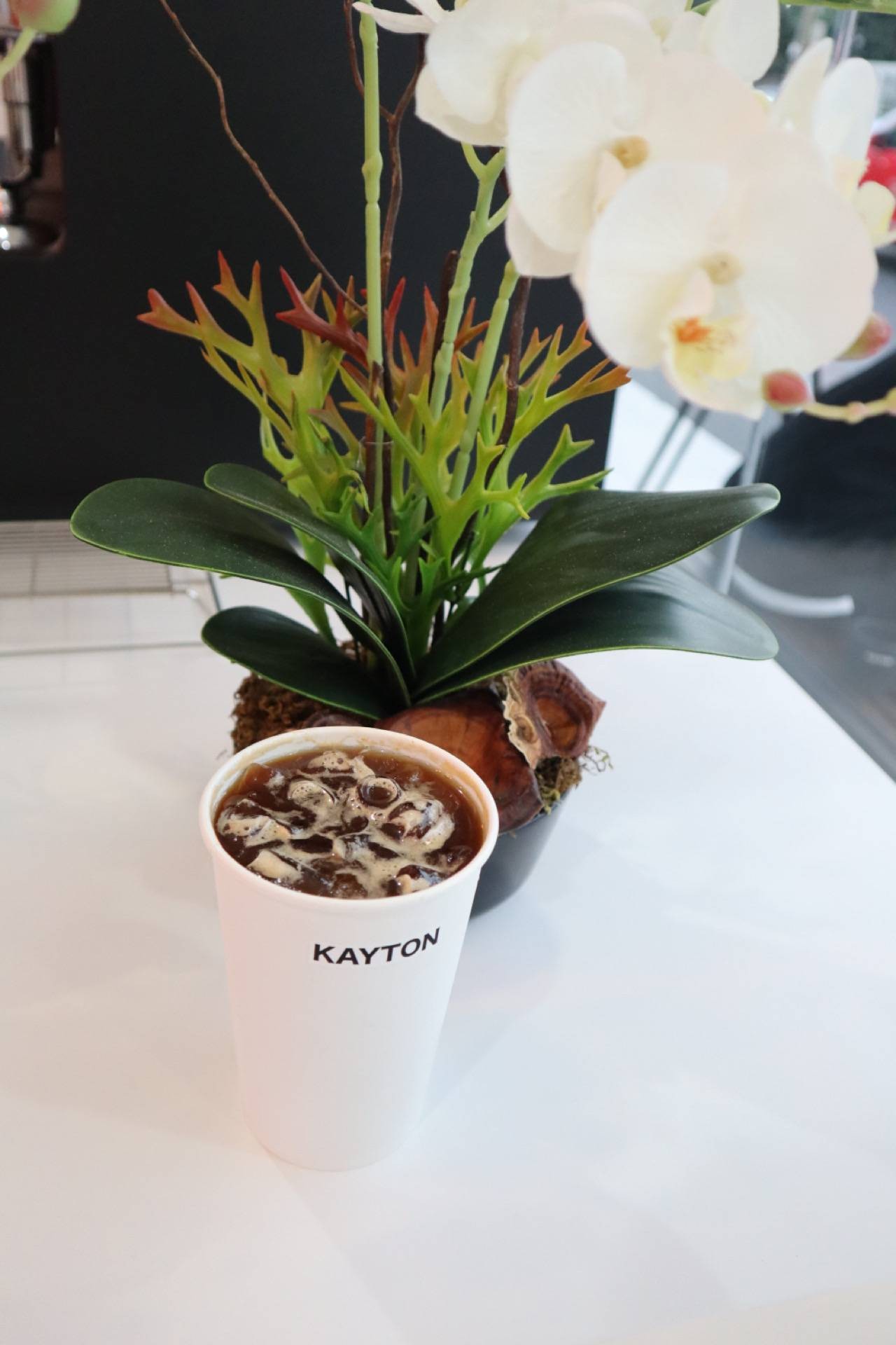 รีวิว KAYTON