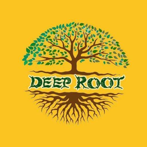 รีวิว Deep Root Cafe Wongnai