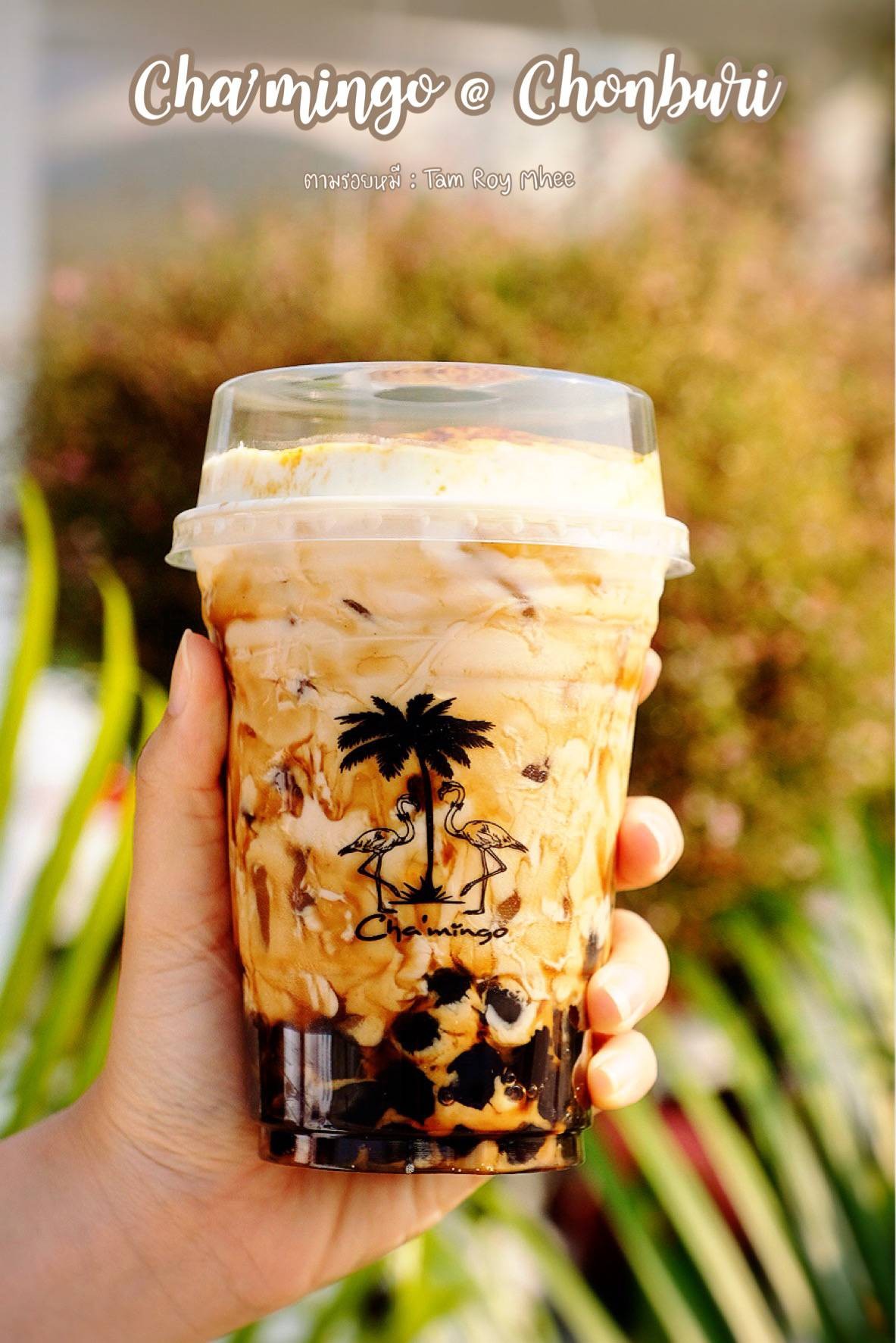 รีวิว Cha' mingo สาขาหลักถนนเส้นข้าวหลาม - เปลี่ยนร้านใหม่ แบรนด์ใหม่ ...