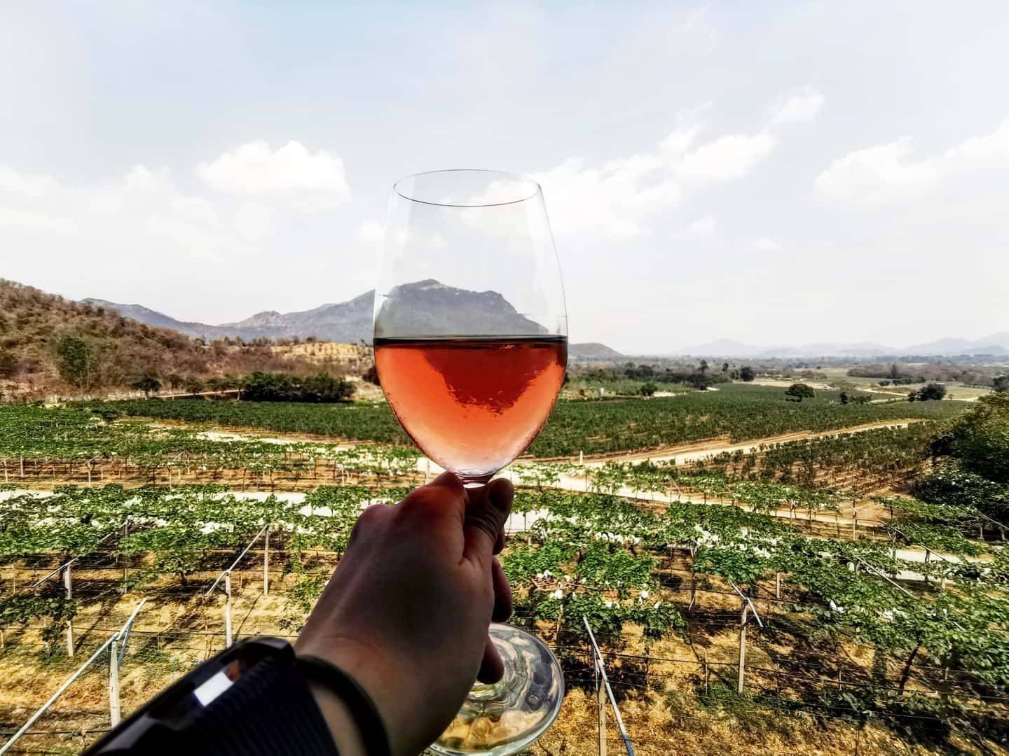 รีวิว Monsoon Valley Vineyard - ไร่องุ่น หนึ่งเดียวในหัวหิน บรรยากาศไร่ ...