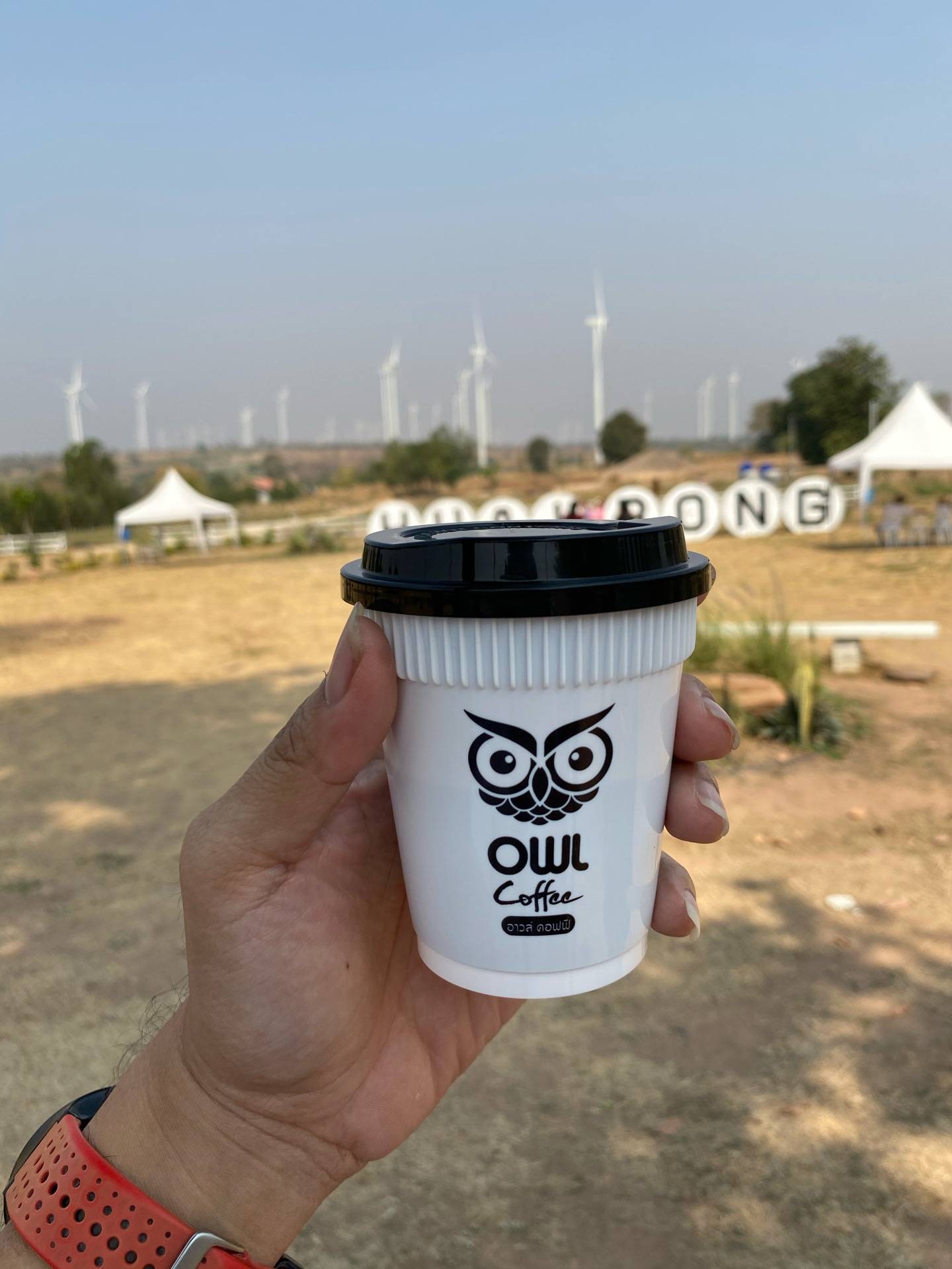 ร้าน Owl Coffee | รีวิวร้านอาหาร