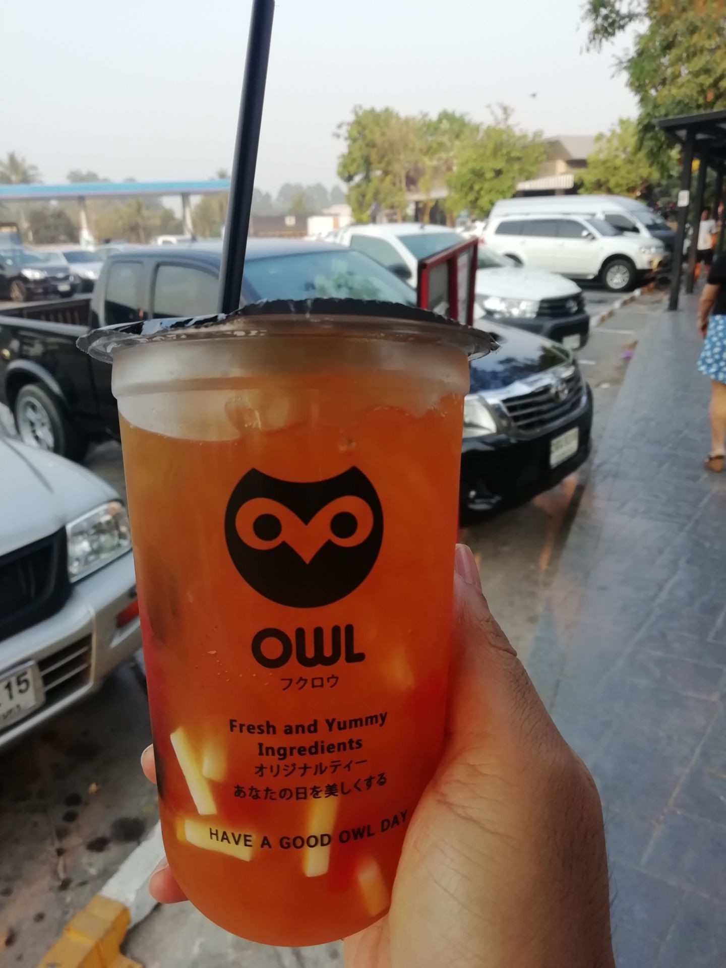 ร้าน Owl Cha ปากช่อง | รีวิวร้านอาหาร