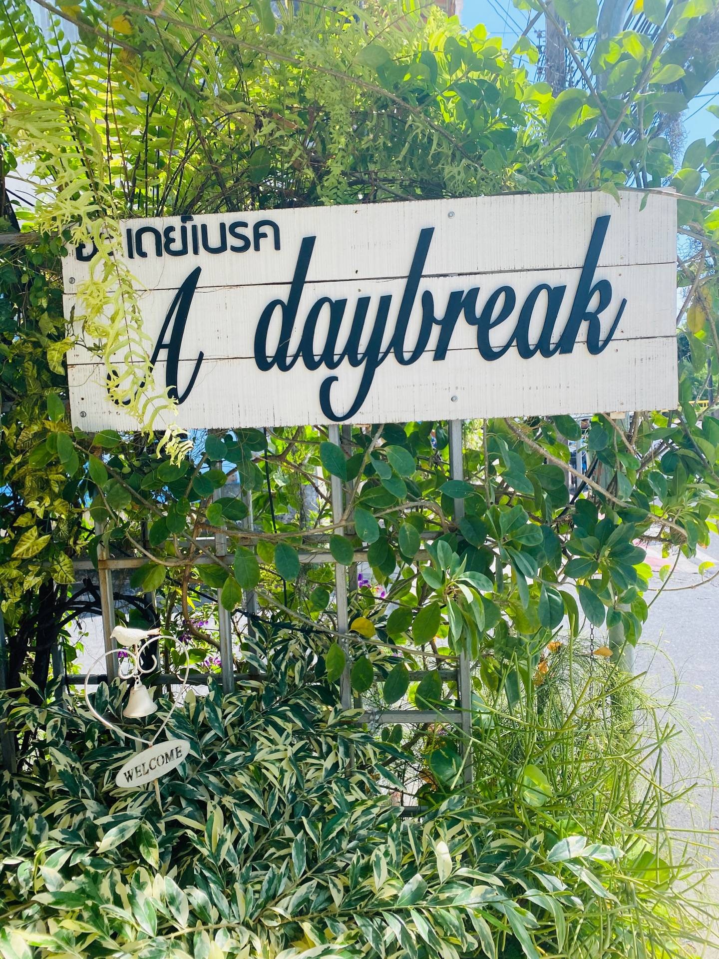 รีวิว A Day Break - A day break