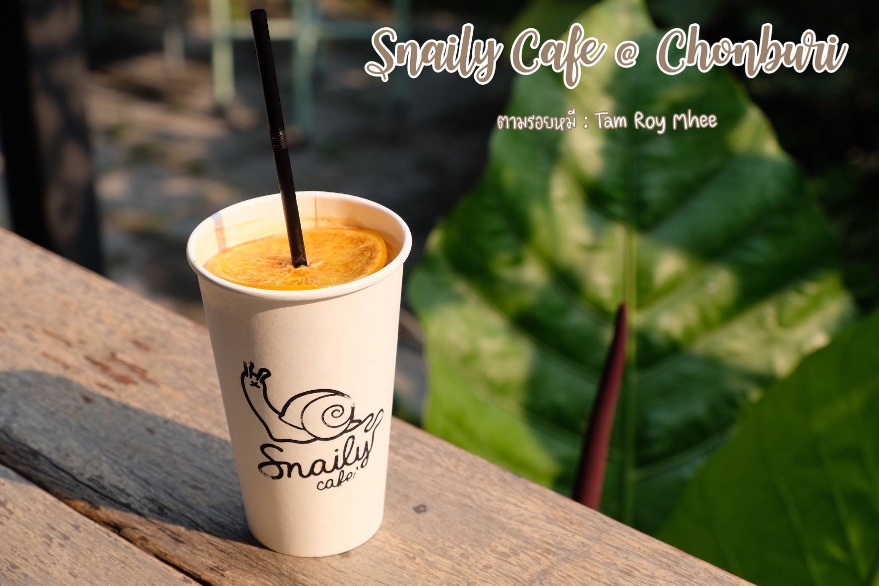 รีวิว Snaily ชลบุรี - จิบกาแฟกินขนมชิลๆ