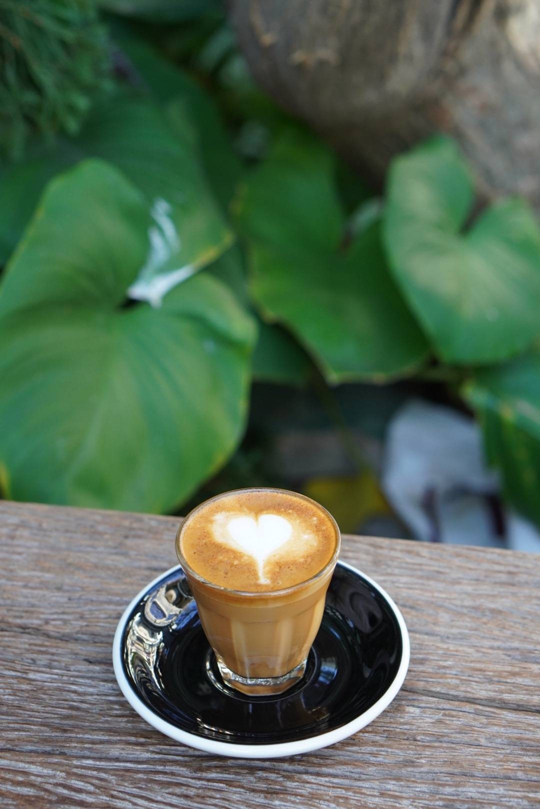 รูป Third Place Coffee-Chiangmai