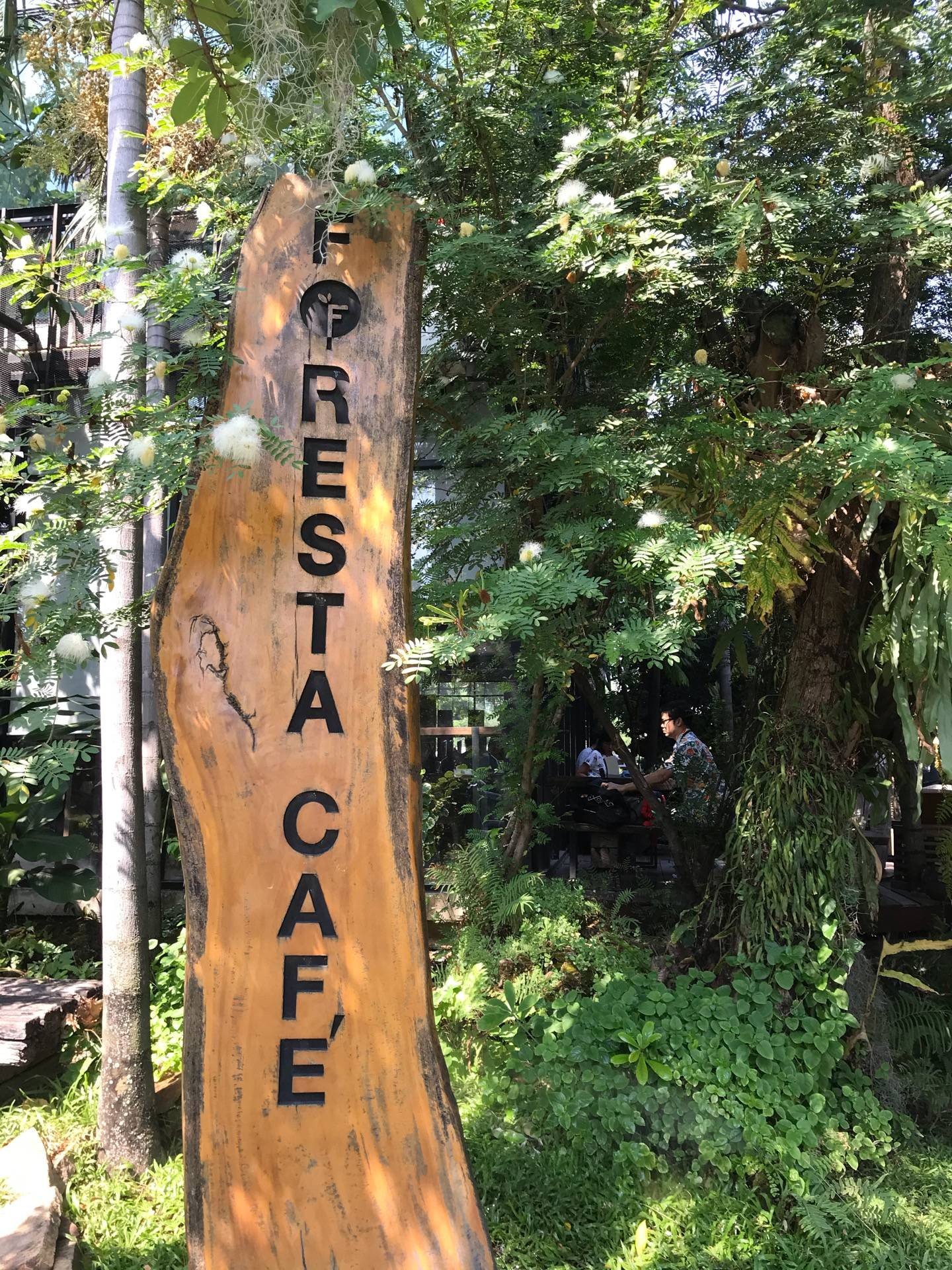 รีวิว FORESTA CAFE ดอนเมือง - ร้านร่มรื่น บรรยากาศดี