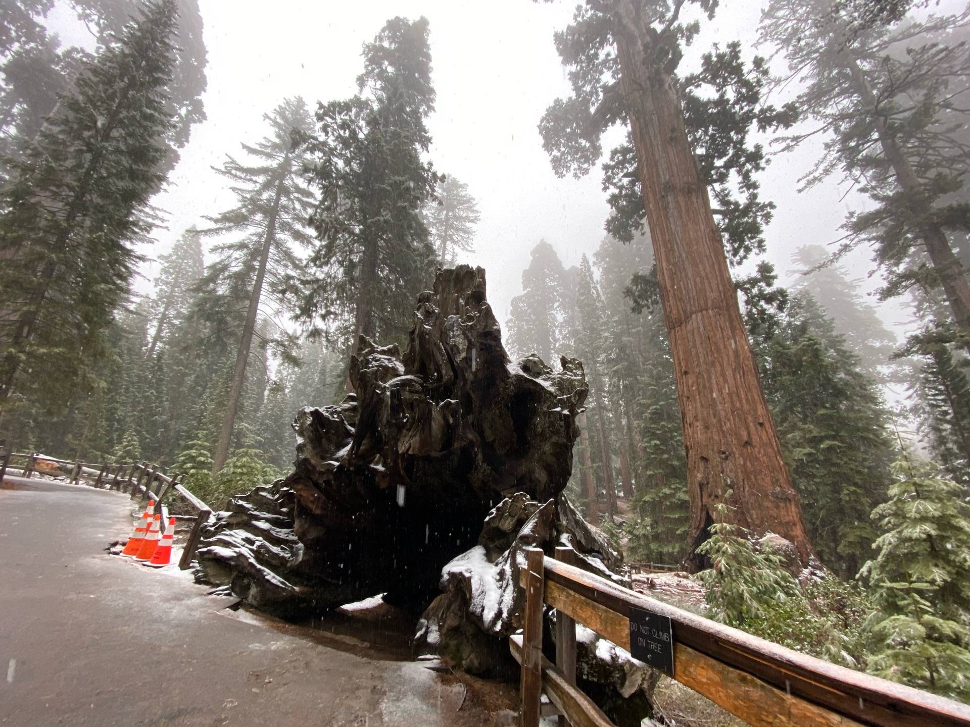 Kings Canyon National Park - รีวิวสถานที่ท่องเที่ยว
