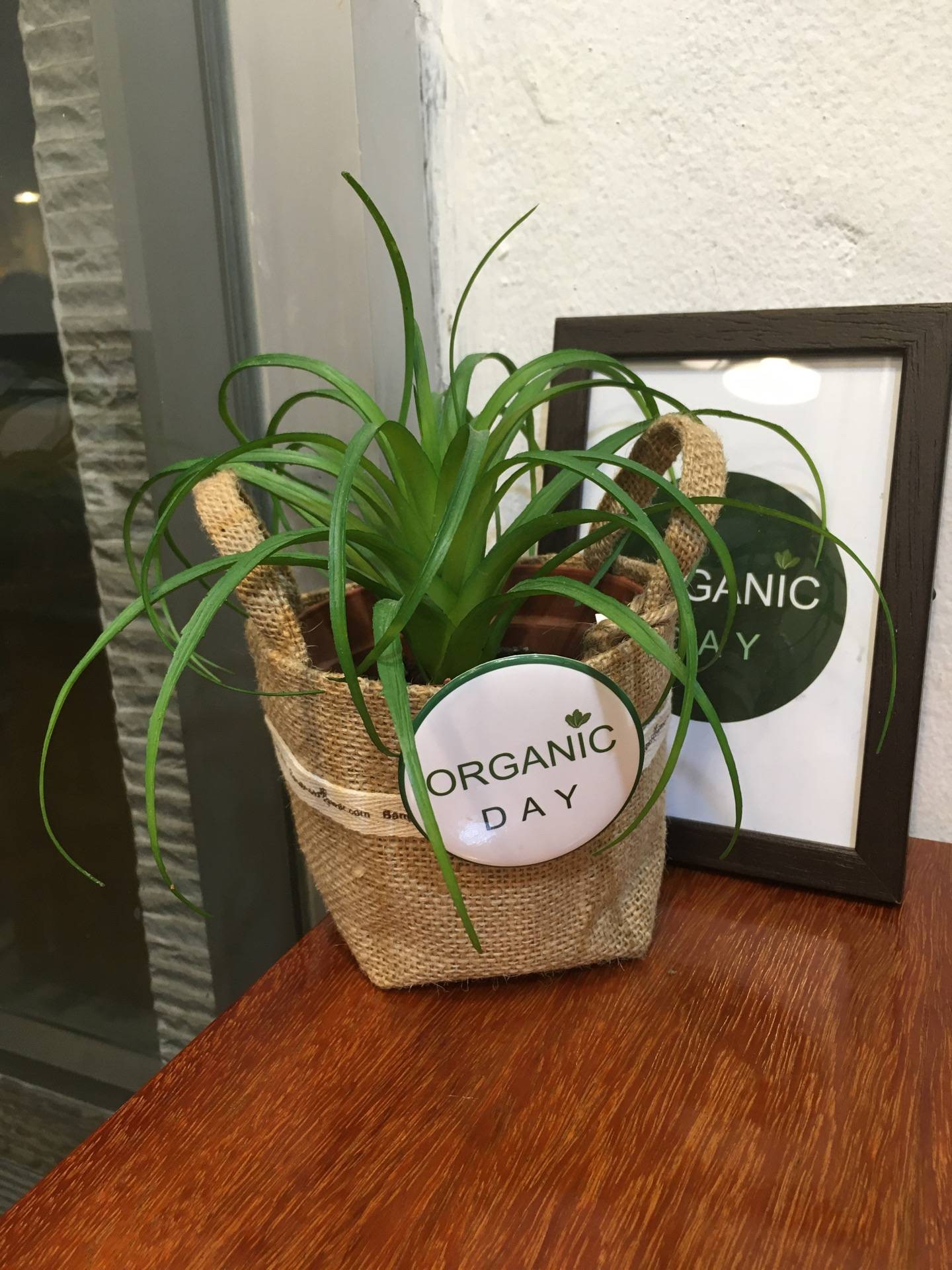 รีวิว Organic day - ร้านน้ำผักที่คัดสรรคุณภาพมากๆ