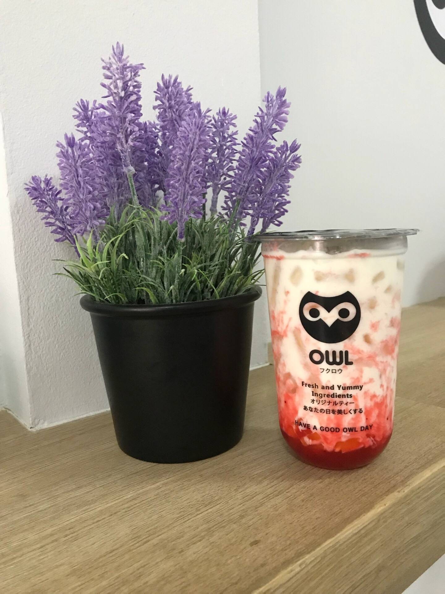 ร้าน OWL CHA สาขาบ่อวิน | รีวิวร้านอาหาร - Wongnai