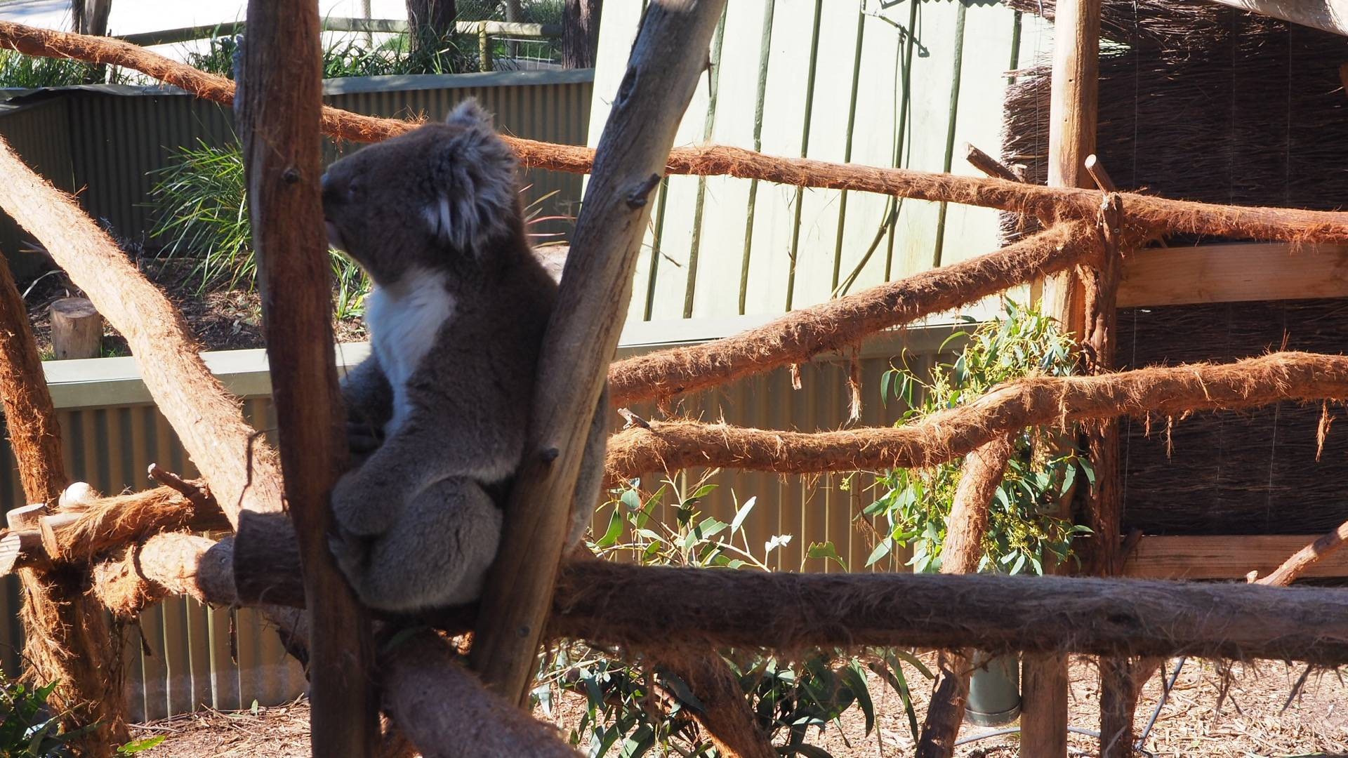 Ballarat Wildlife Park - รีวิวสถานที่ท่องเที่ยว