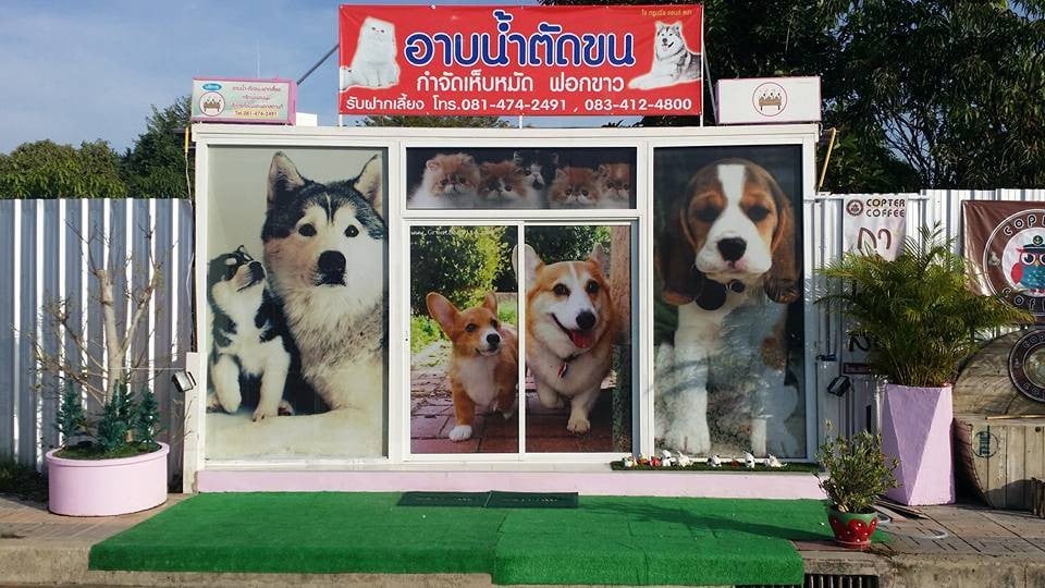 รีวิว World Dog อาบน้ำตัดขนสัตว์ นครสวรรค์ - พอใจมาก