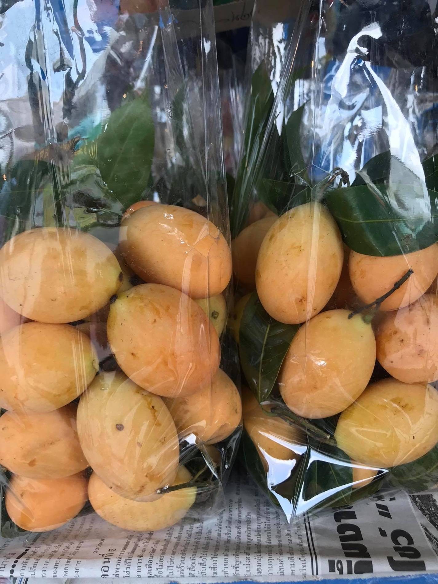 ร้าน A Day Fruit | รีวิวร้านอาหาร - Wongnai