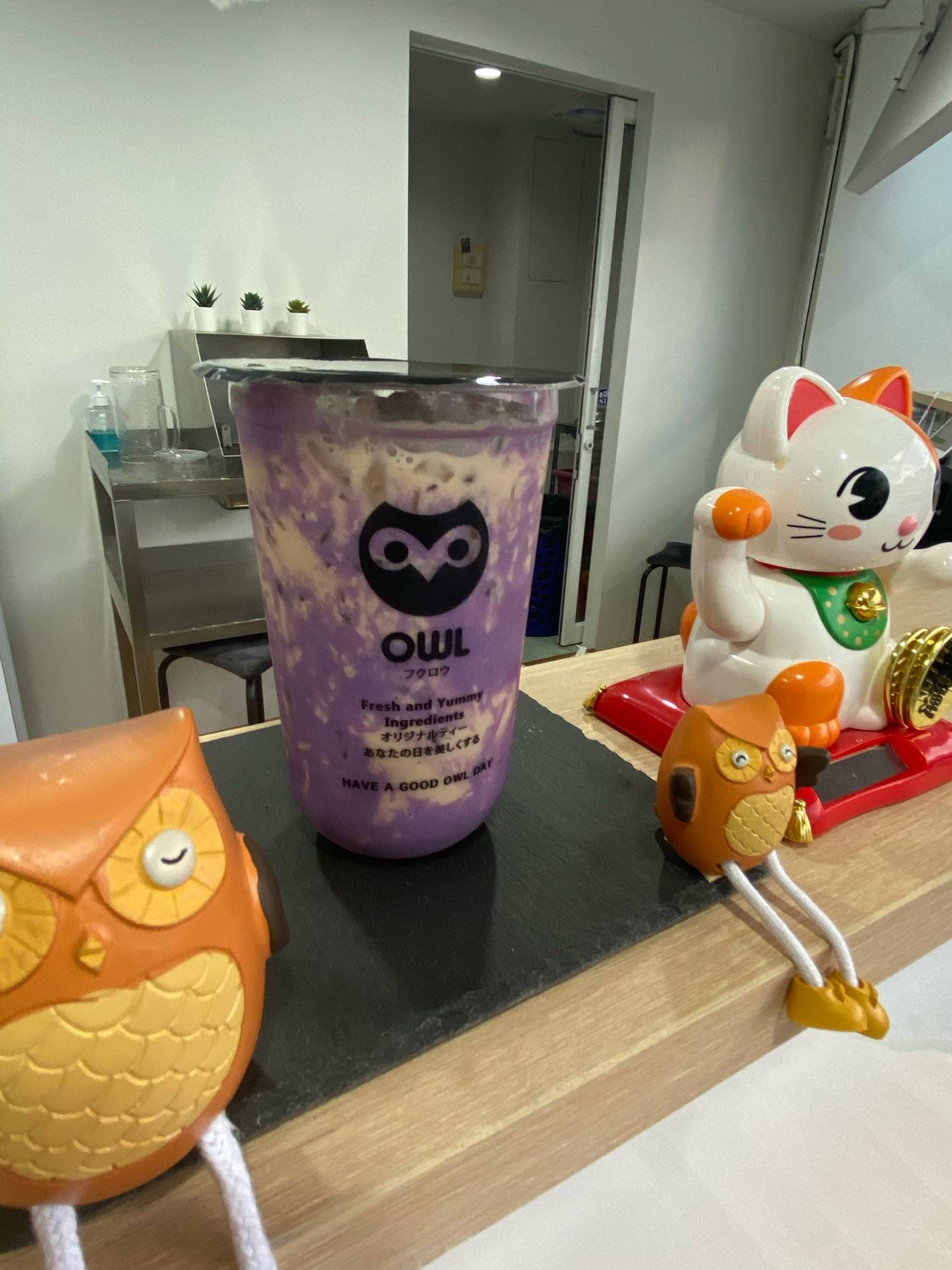 ร้าน Owl Cha ตัวเมืองหาดใหญ่ | รีวิวร้านอาหาร - Wongnai