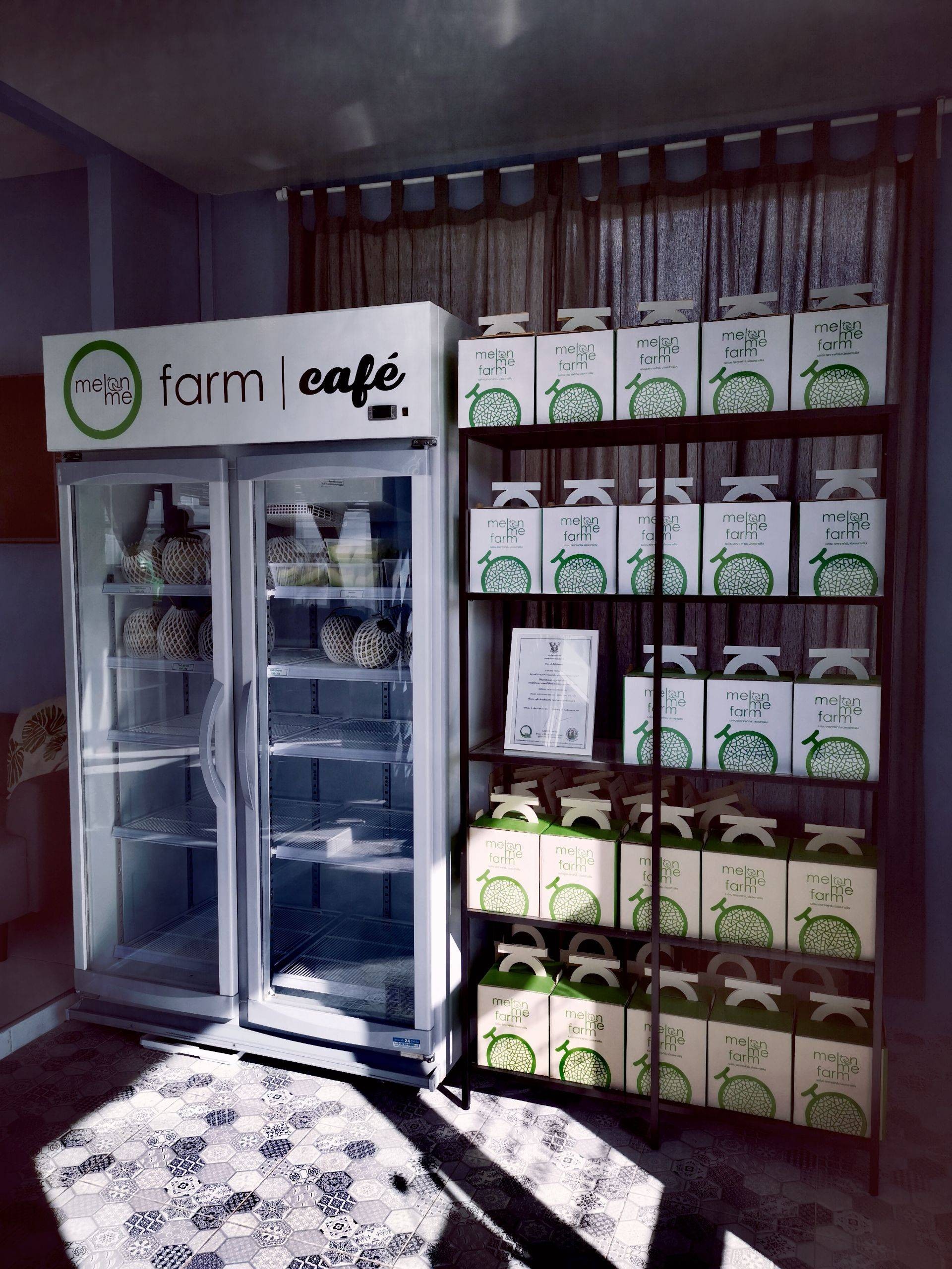 รีวิว Melon Me - Melon อร่อย บรรยากาศแสนชิวววว