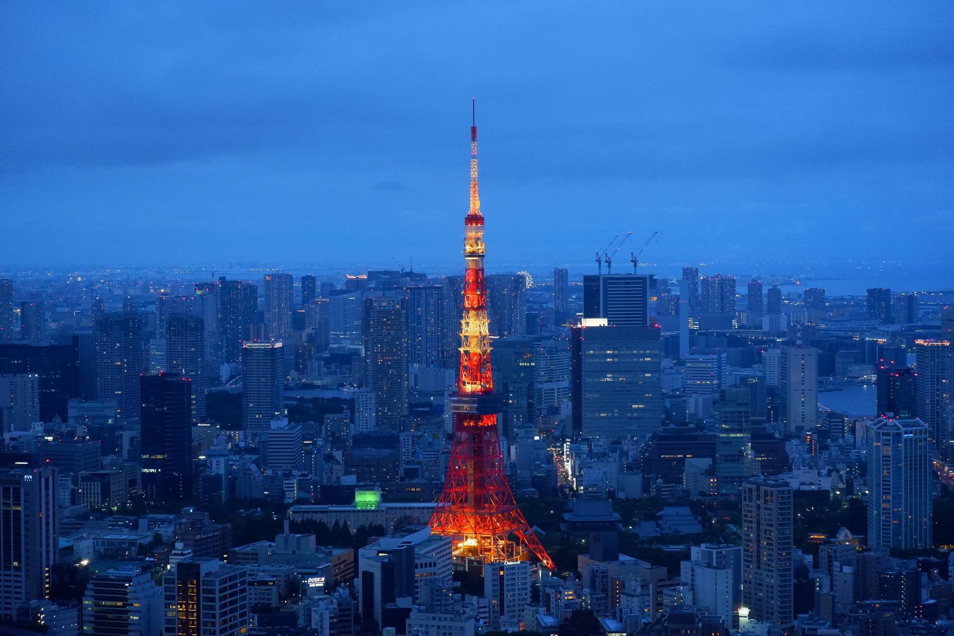 Tokyo Tower (โตเกียวทาวเวอร์) - รีวิวสถานที่ท่องเที่ยว - Wongnai