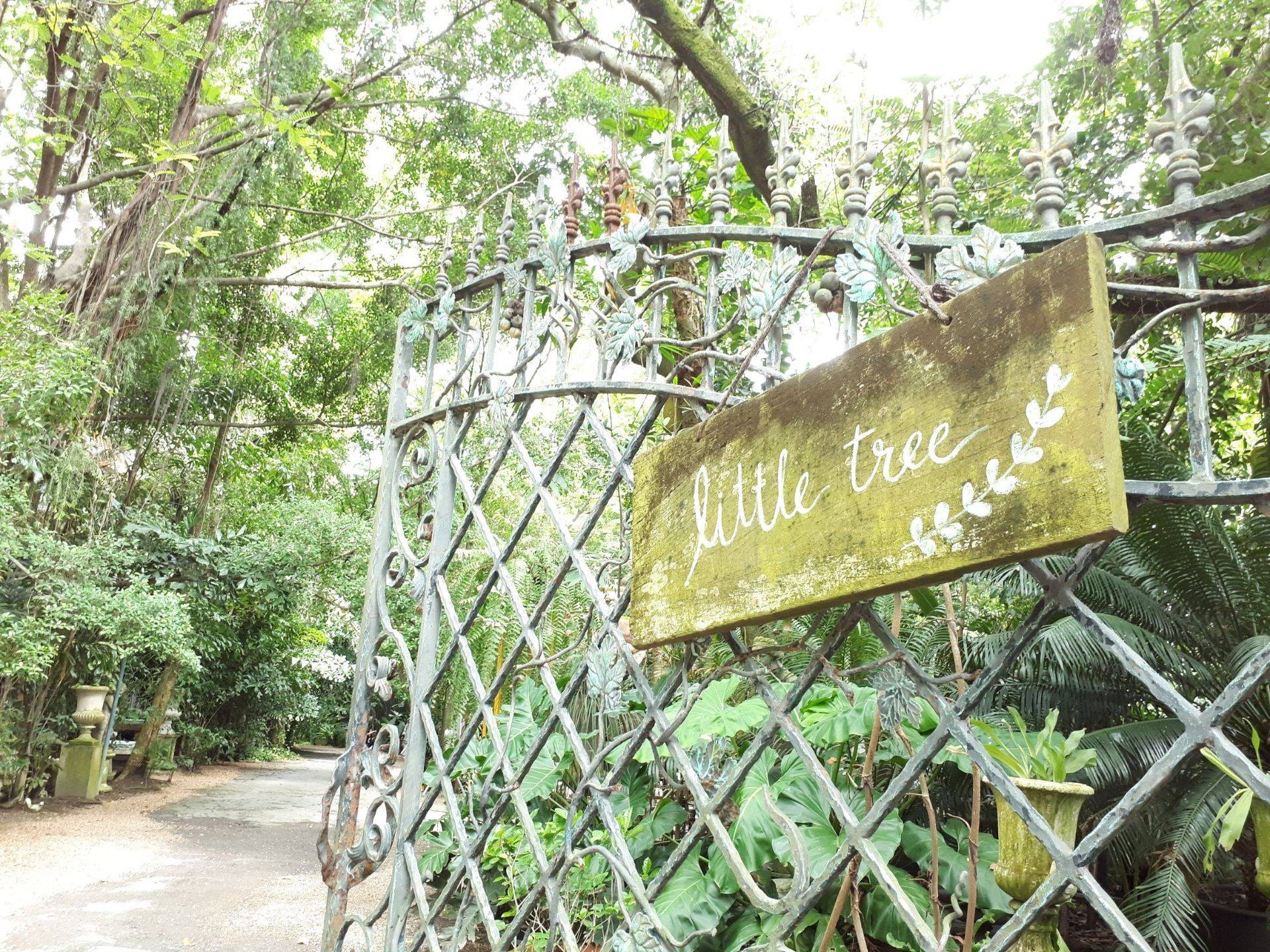 รีวิว Little Tree Garden - ร้านคาเฟ่บรรยากาศร่มรื่น สไตล์ยุโรปบ้านสวน ...