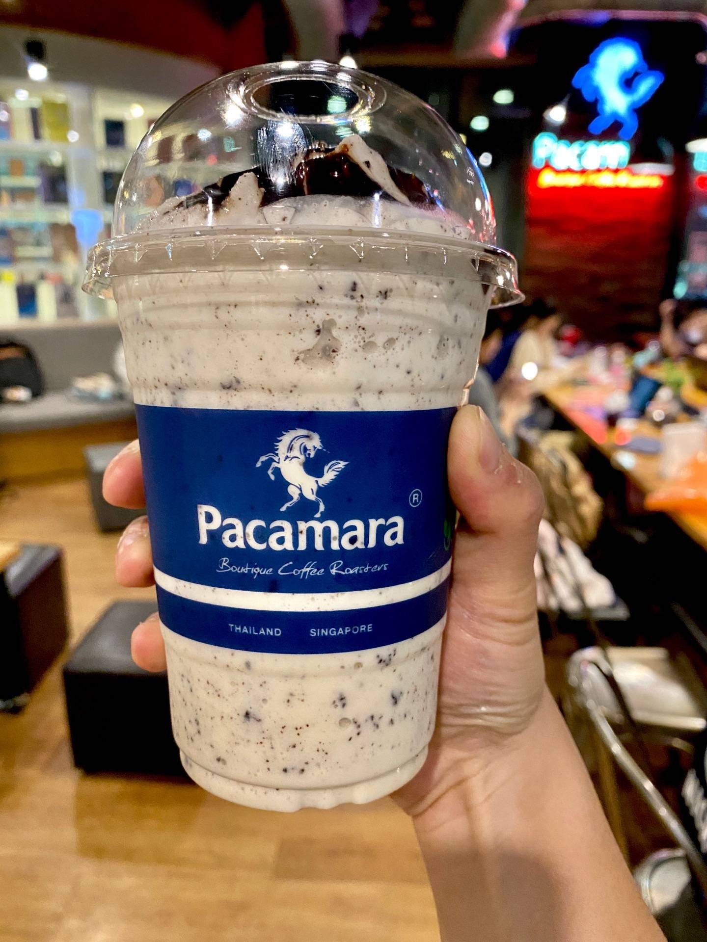 รีวิว PACAMARA หอสมุดคณะแพทยศาสตร์ จุฬาลงกรณ์มหาวิทยาลัย - นั่งอ่าน ...
