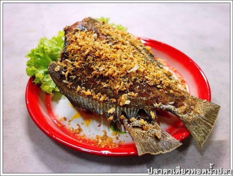 สูตร ปลาตาเดียวทอดราดน้ำปลา พร้อมวิธีทำโดย chubbylawyer