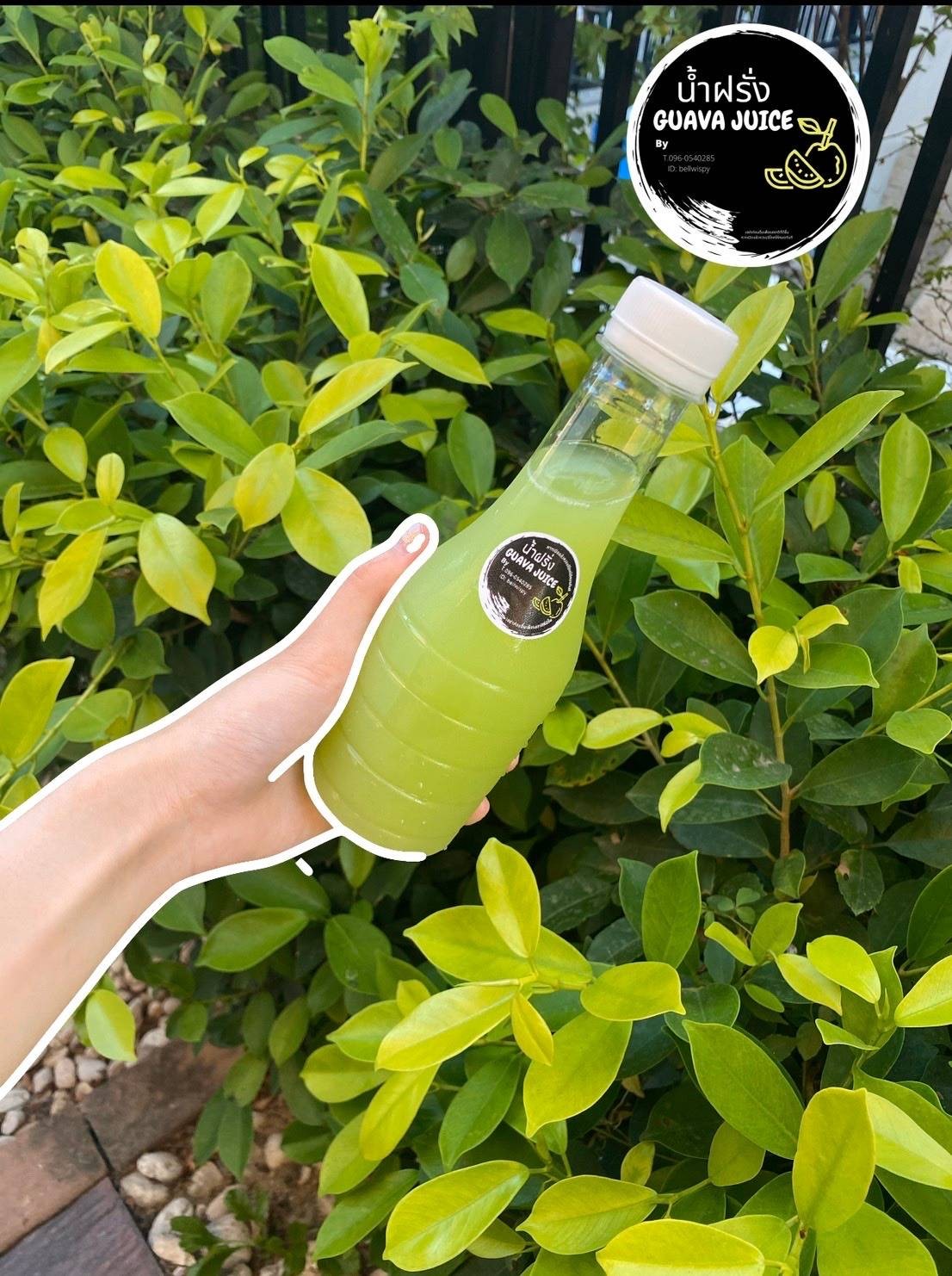 Guava juice by bell - สั่งอาหารเดลิเวอรี | Wongnai x LINE MAN