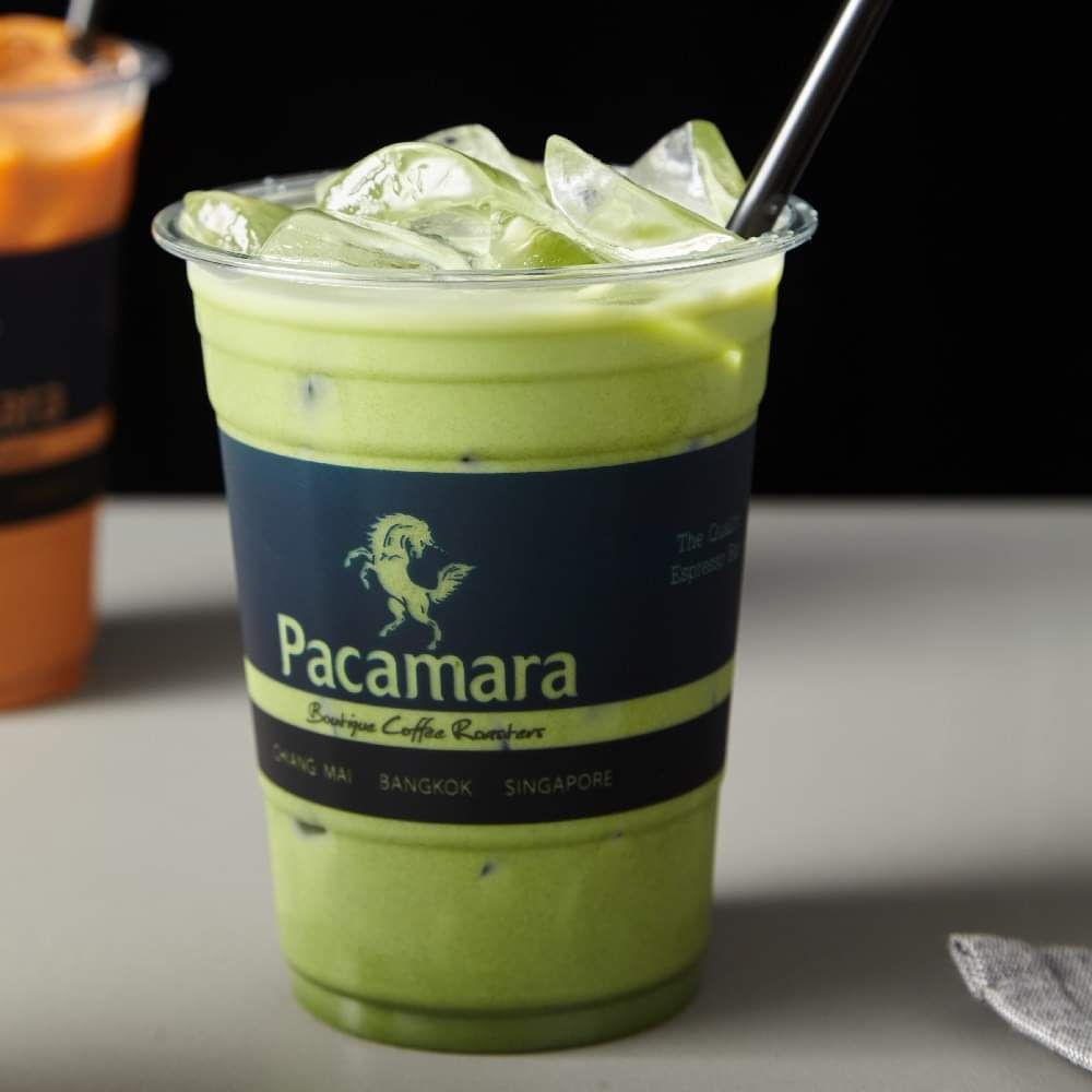 Iced Green Tea Latte • image ร้าน PACAMARA Thonglor 25