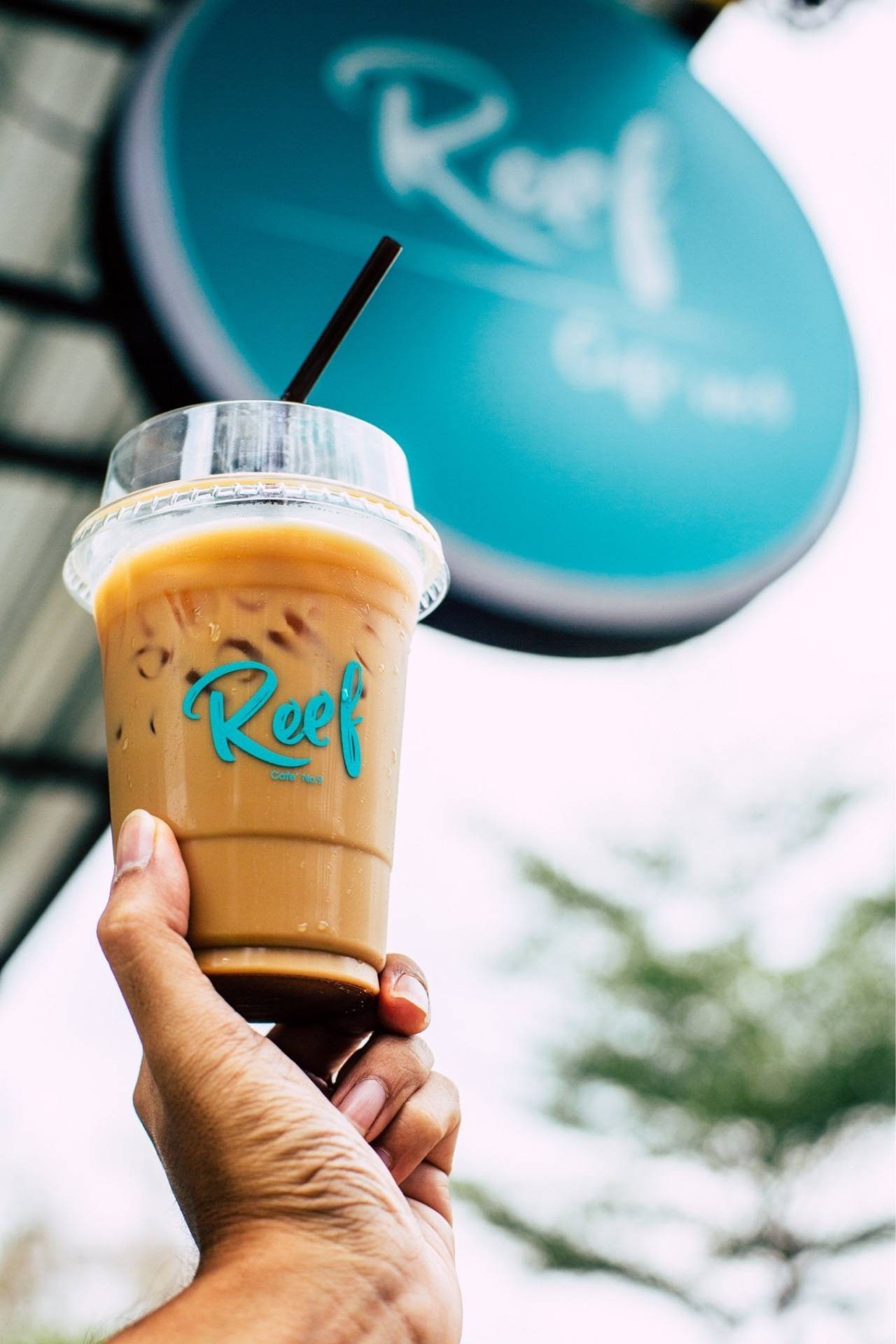 รีวิว Reef Cafe' no.9 ร้านกาแฟ & เค้กอร่อย รีฟ คาเฟ่ นัมเบอร์ไนน์ ...