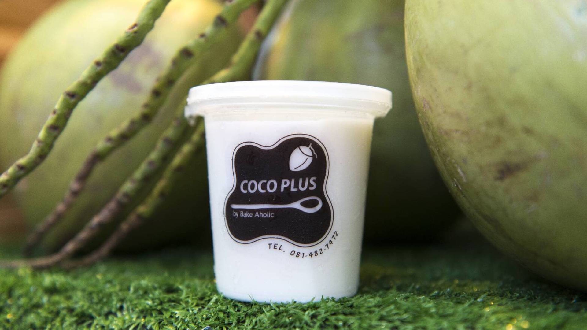 Coco Plus เต้าฮวยมะพร้าวอ่อน - สั่งอาหารเดลิเวอรี | Wongnai x LINE MAN